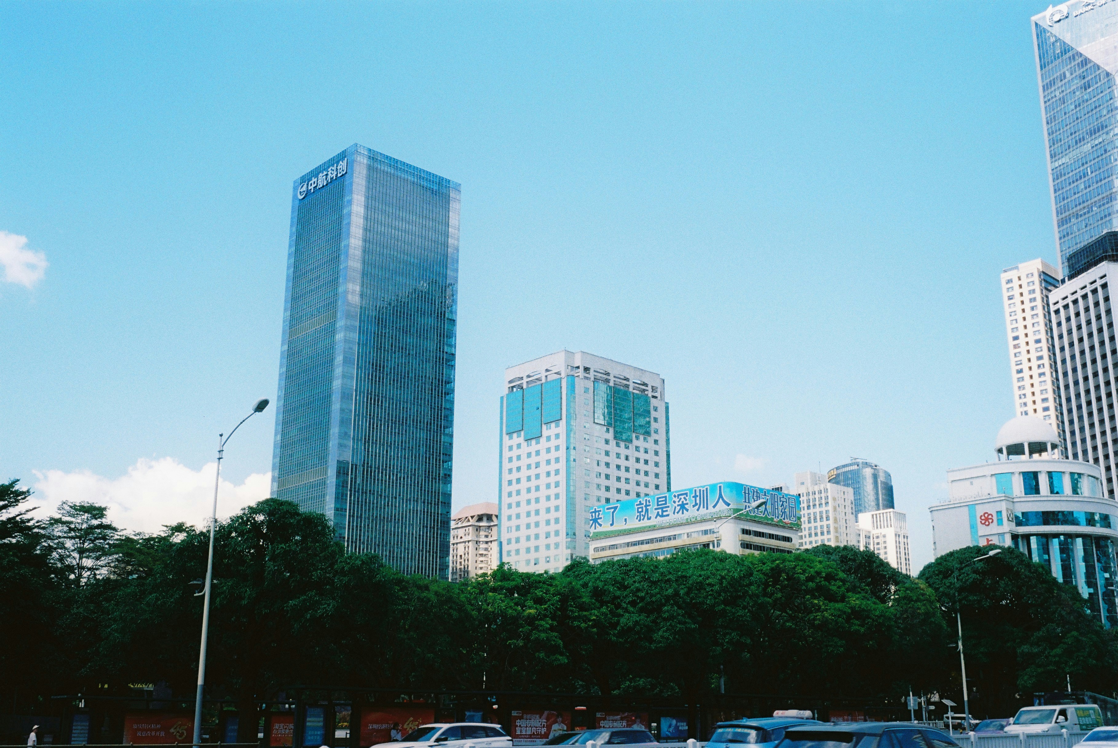 Skyline in Perspective: Glass Towers Above a Quiet Street