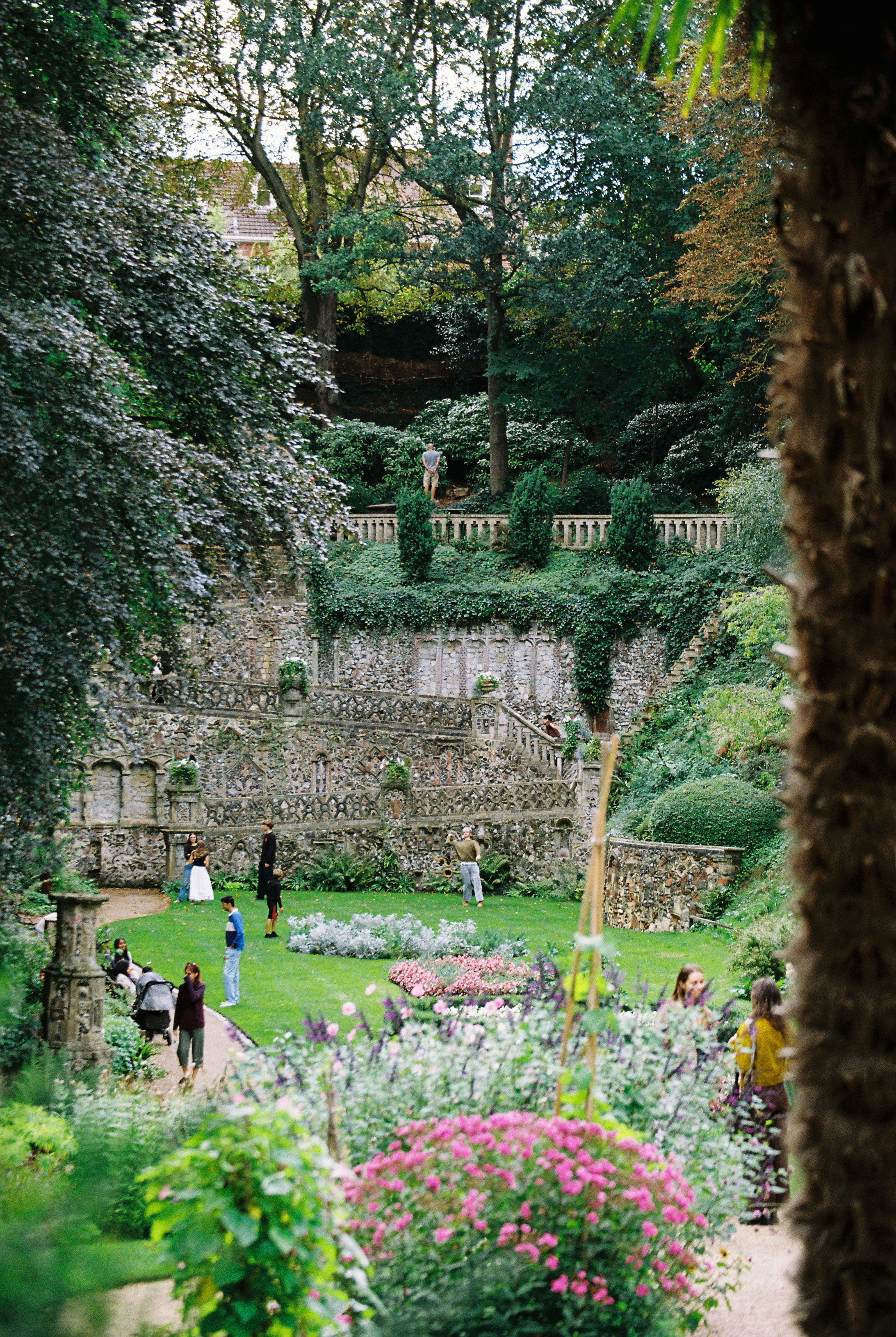 Terraced Garden in Bloom: A Quiet Moment Above the Marble Wall