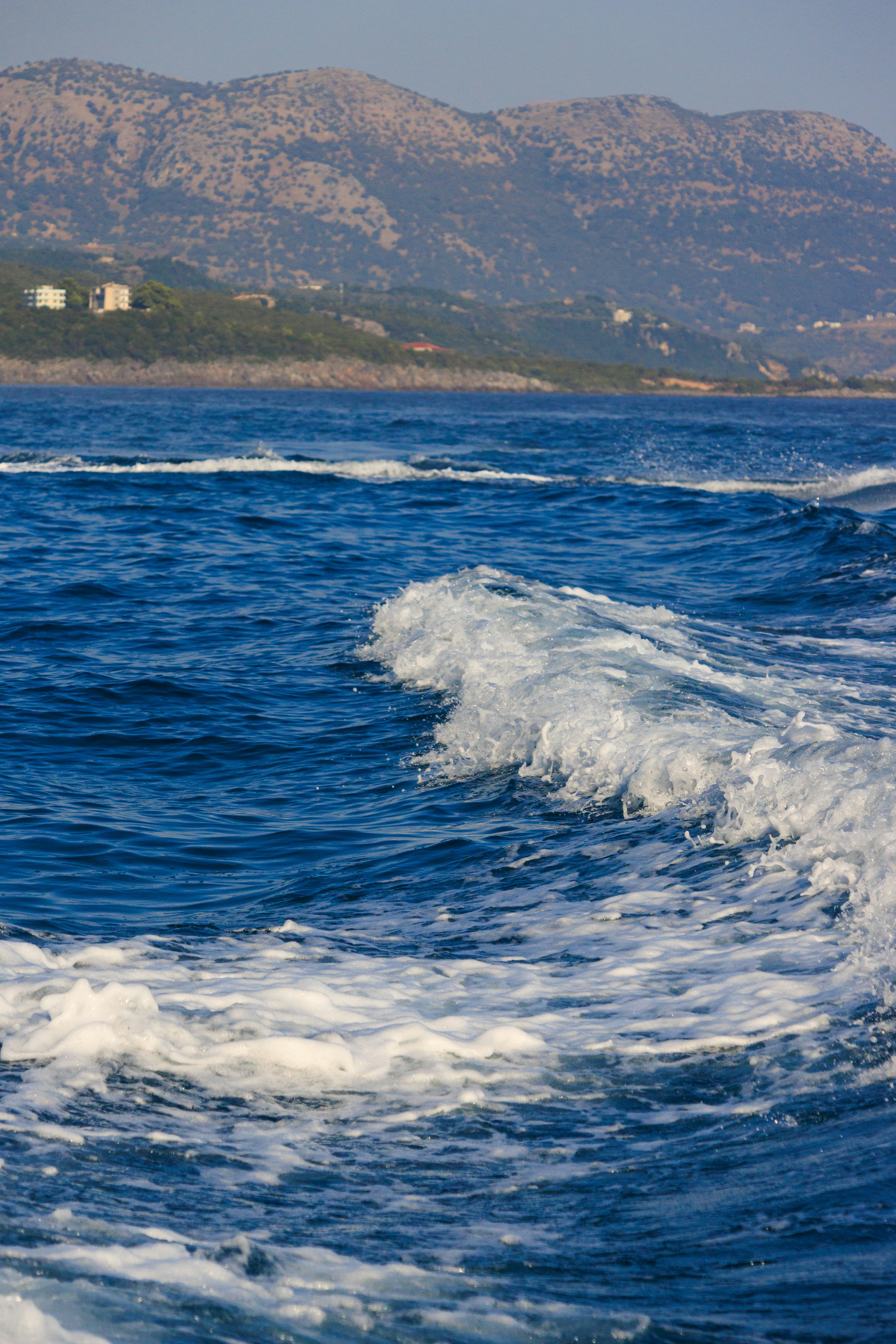 Ocean Crest: A Coastal Wave Tames the Shoreline