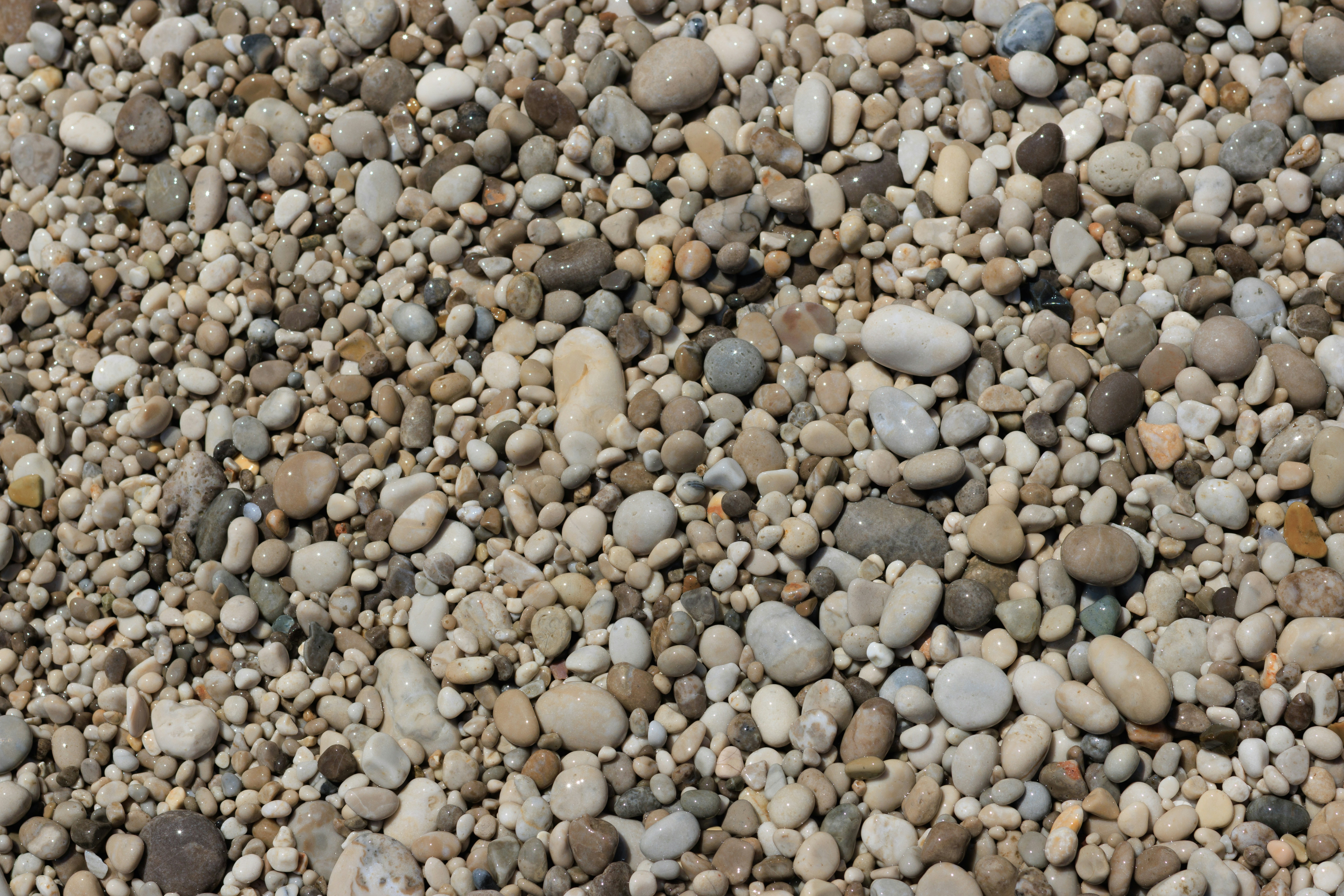 Pebble mosaic: a close-up of smooth shoreline stones