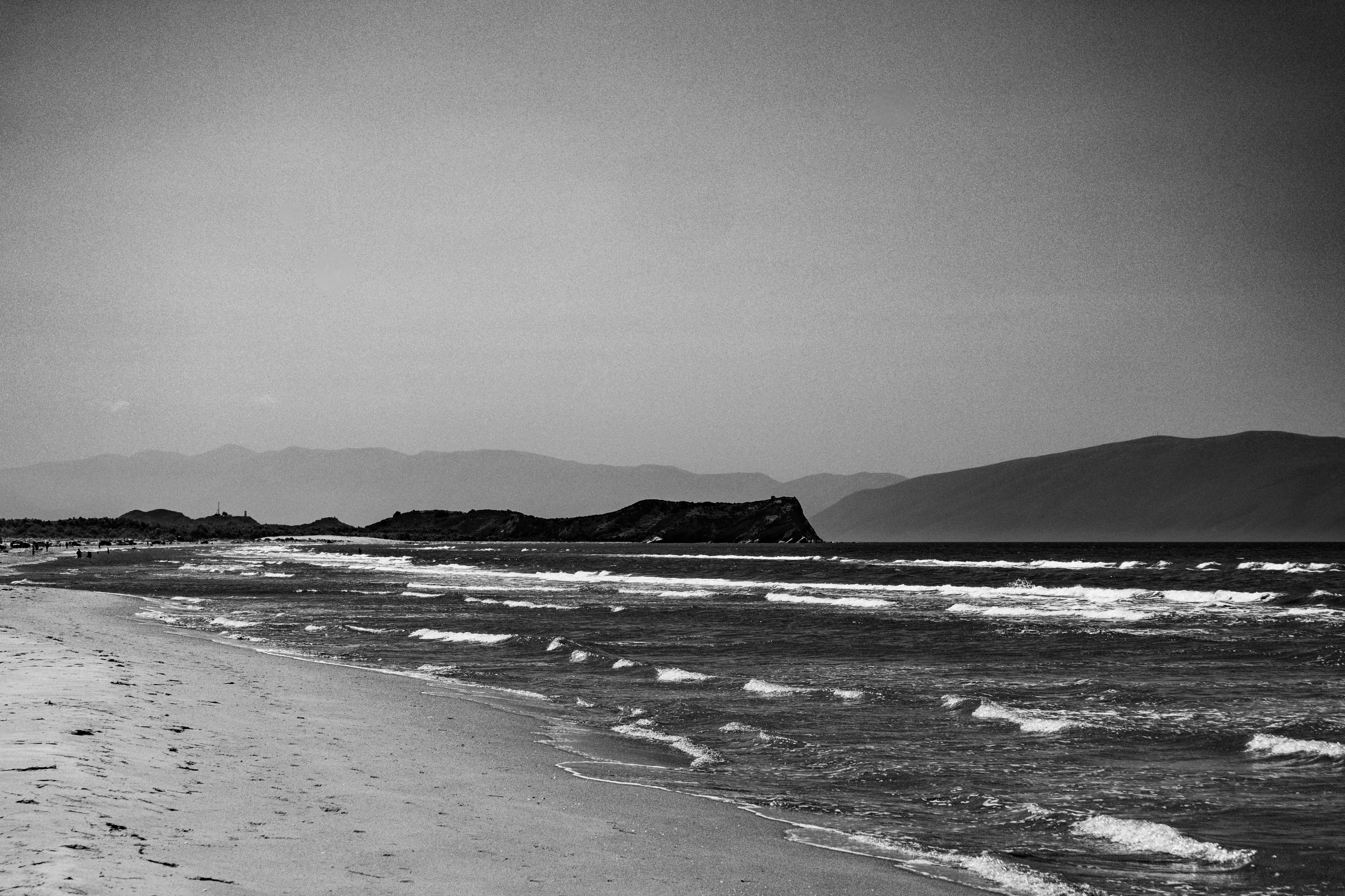 Coastal Silhouette: Windswept Beach under a Quiet Dusk