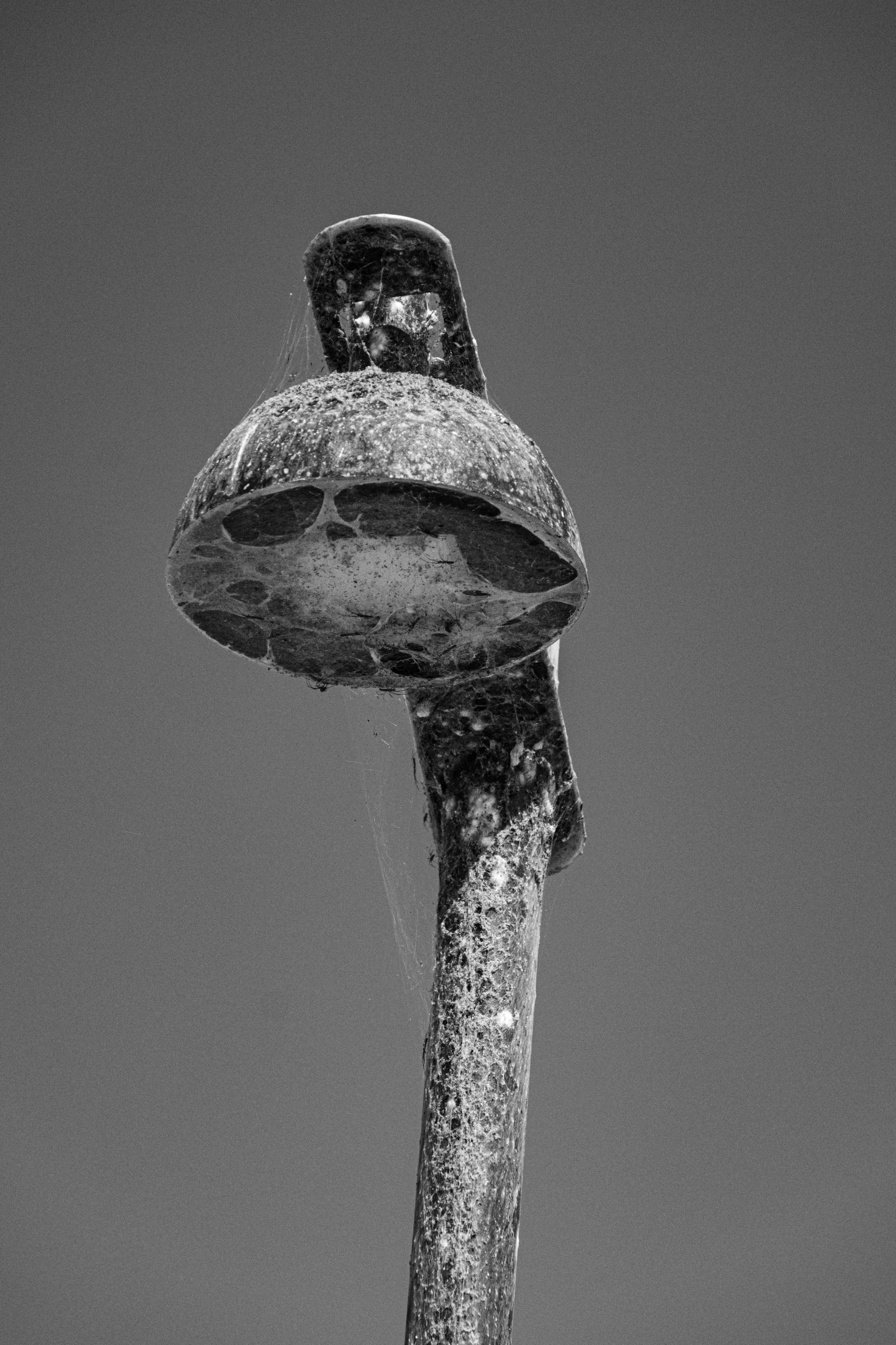 Iron Beak: Close-Up of a Weathered Vintage Tap Mount