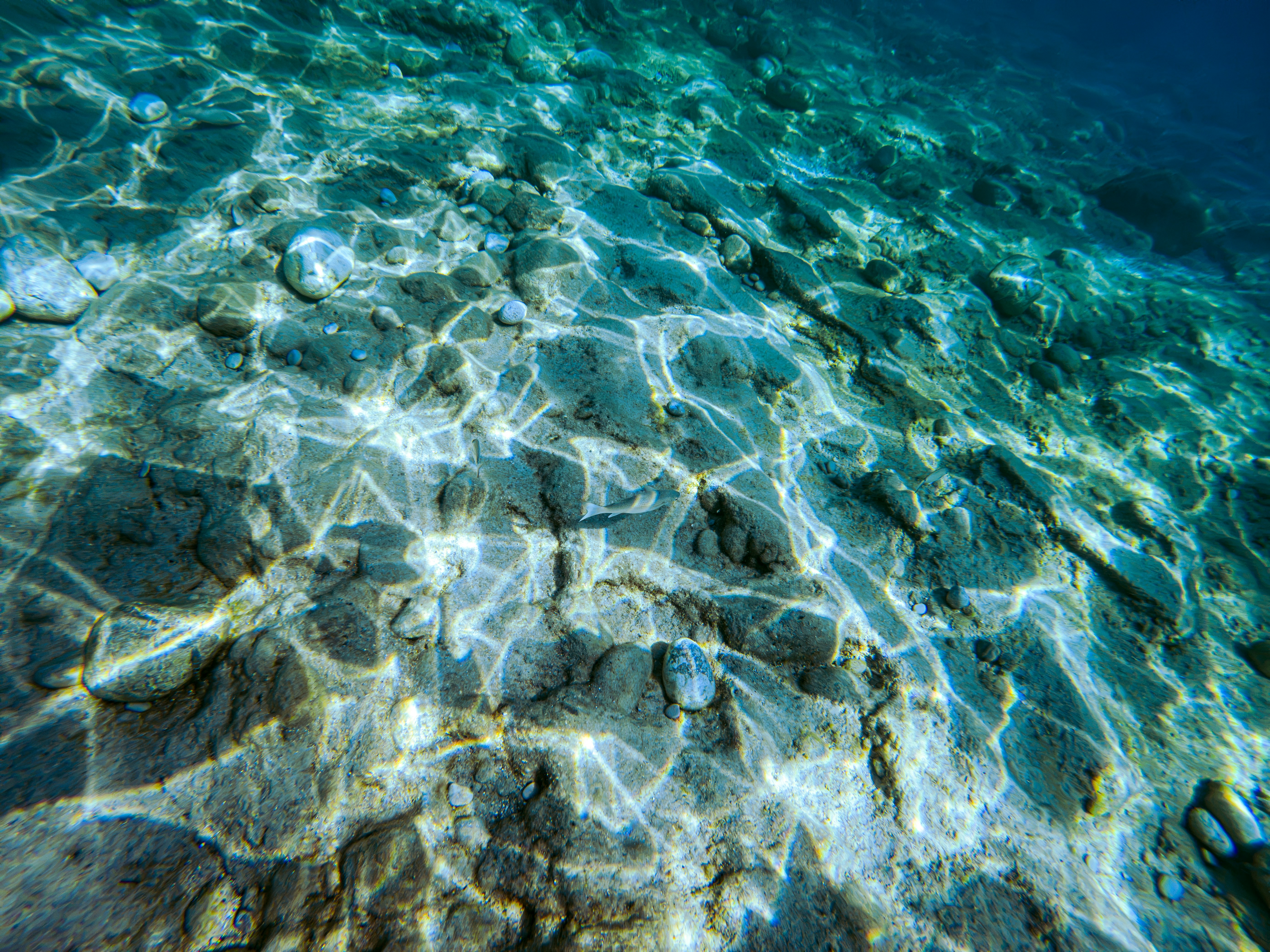 Sunlit Granite Waves: Rhythms of an Underwater Shallow