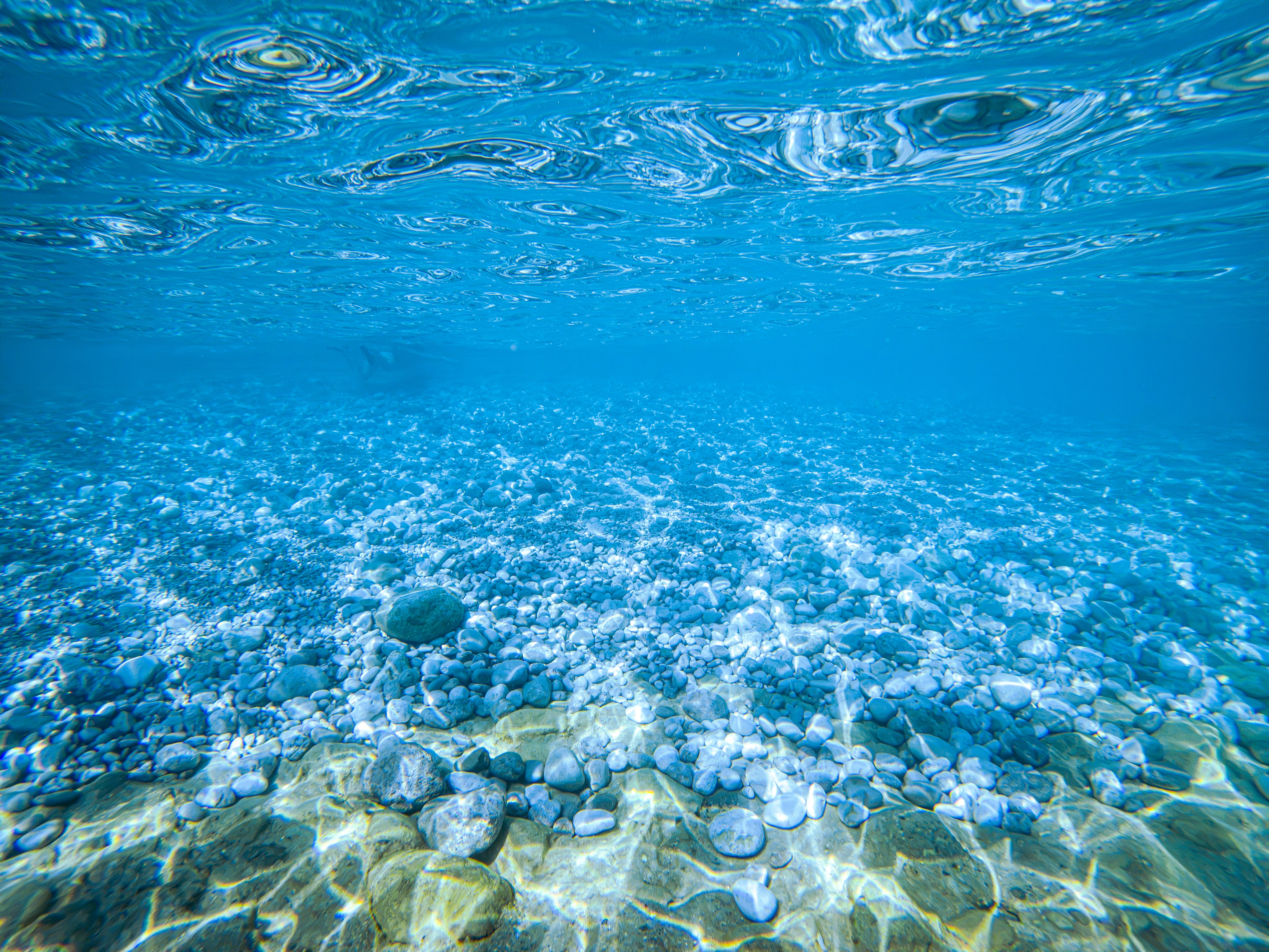 Underwater Pebble Carpet: Sunlit Coastal Plain