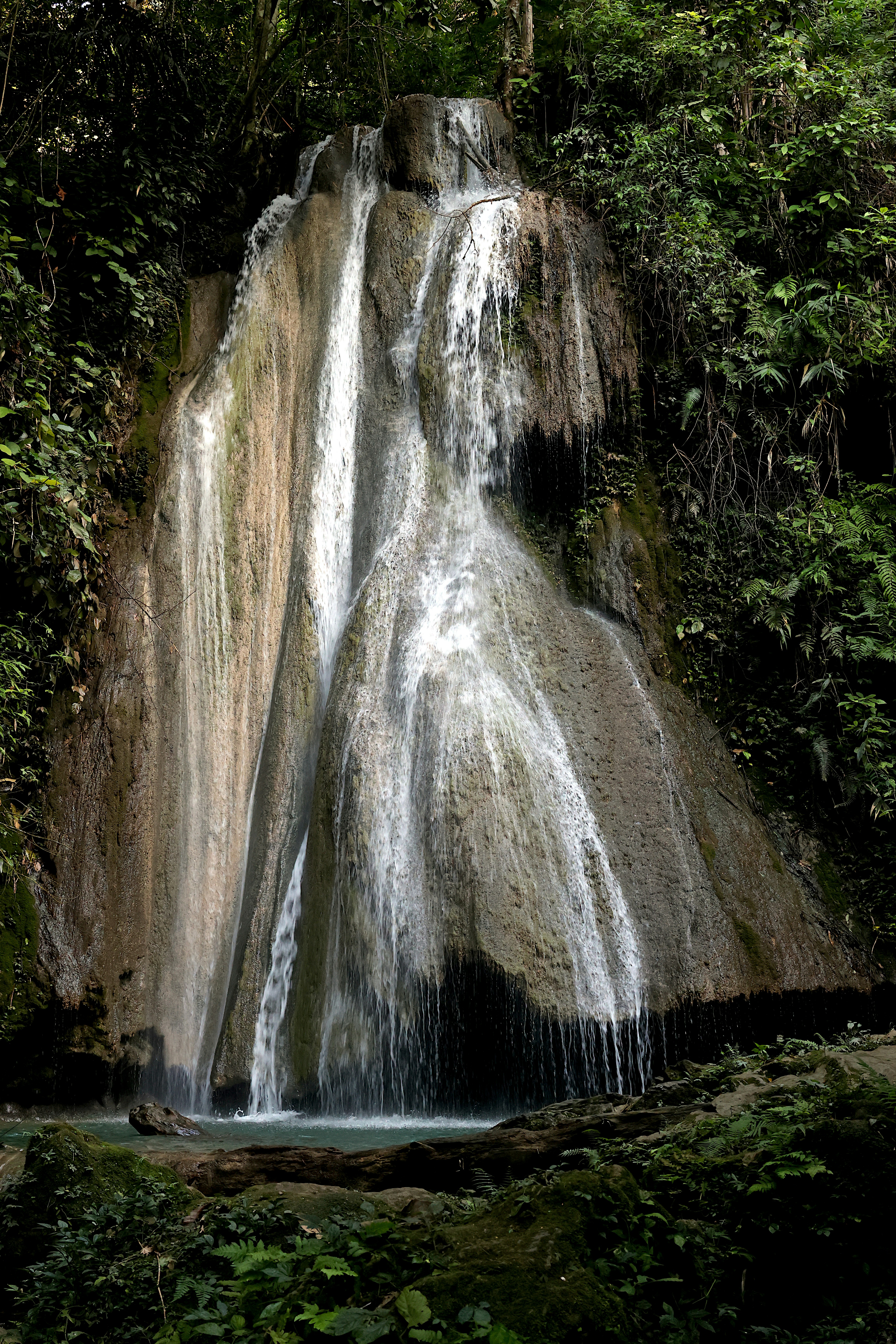 Verdant Curtain: a Narrow Cascade in Dappled Light