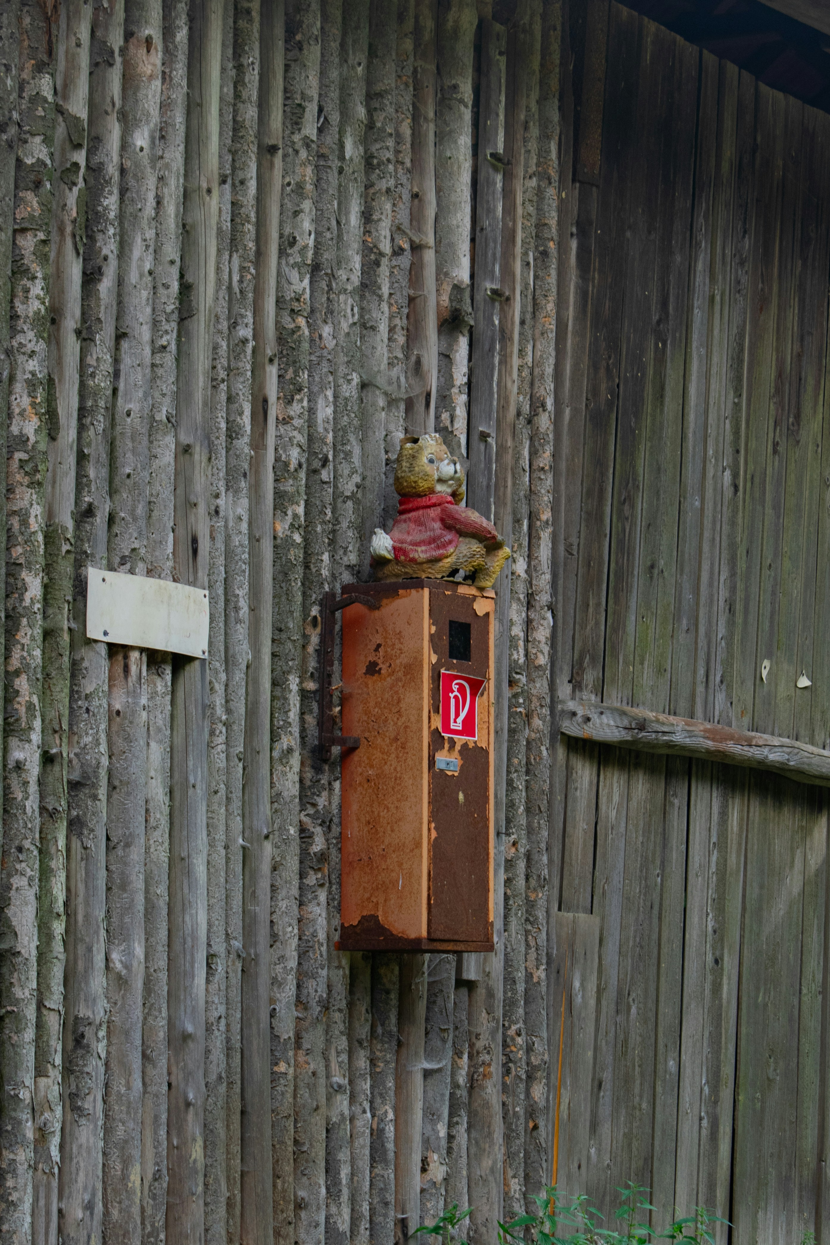 Rusty mailbox guardian: a weathered scene crowned by a plush figure