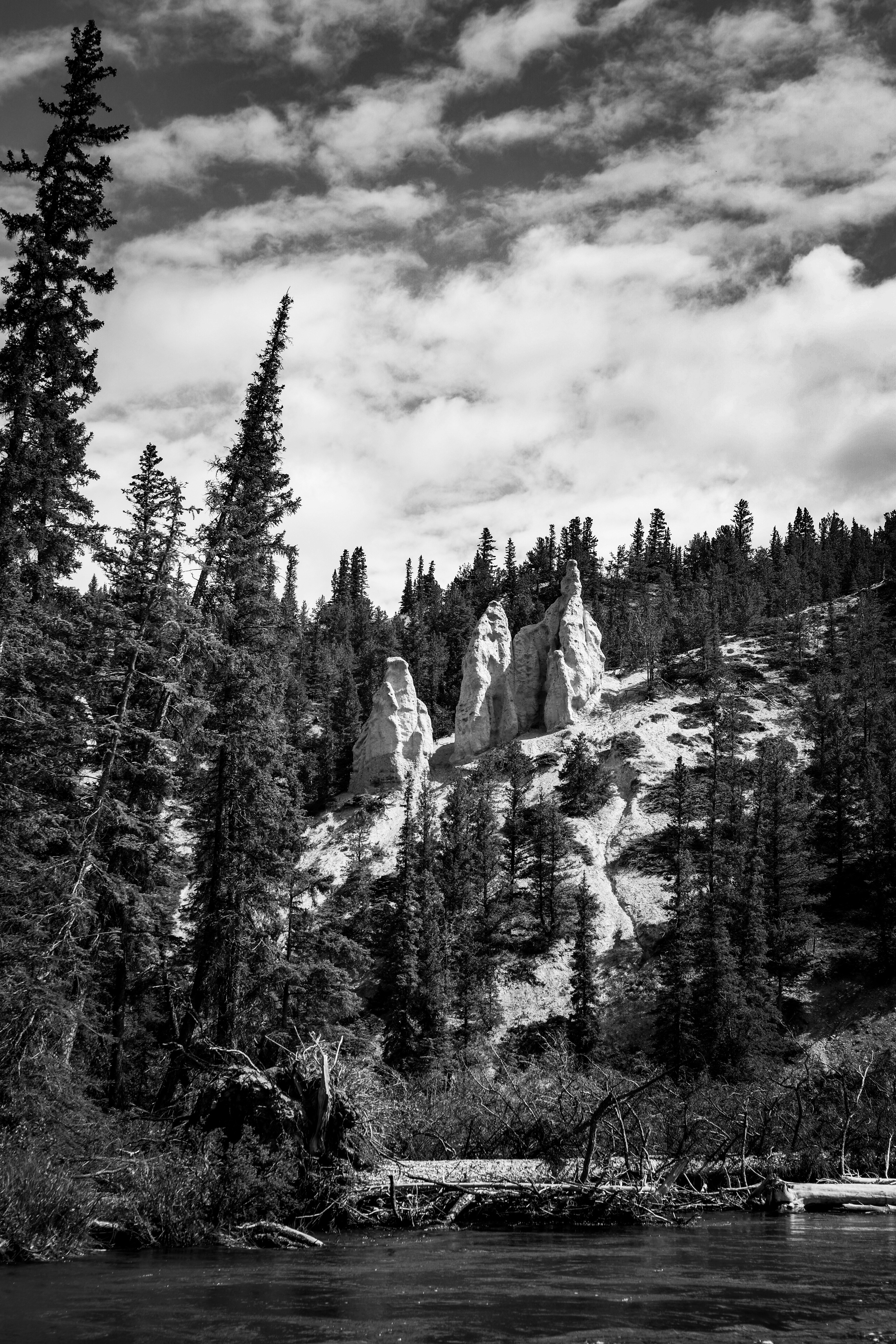 Snowy forested canyon with tall pine trees and eroded rock spires lining a calm riverbank; high-contrast black-and-white landscape emphasizing textures and light. A rugged, natural scene with a weathered, tranquil mood.