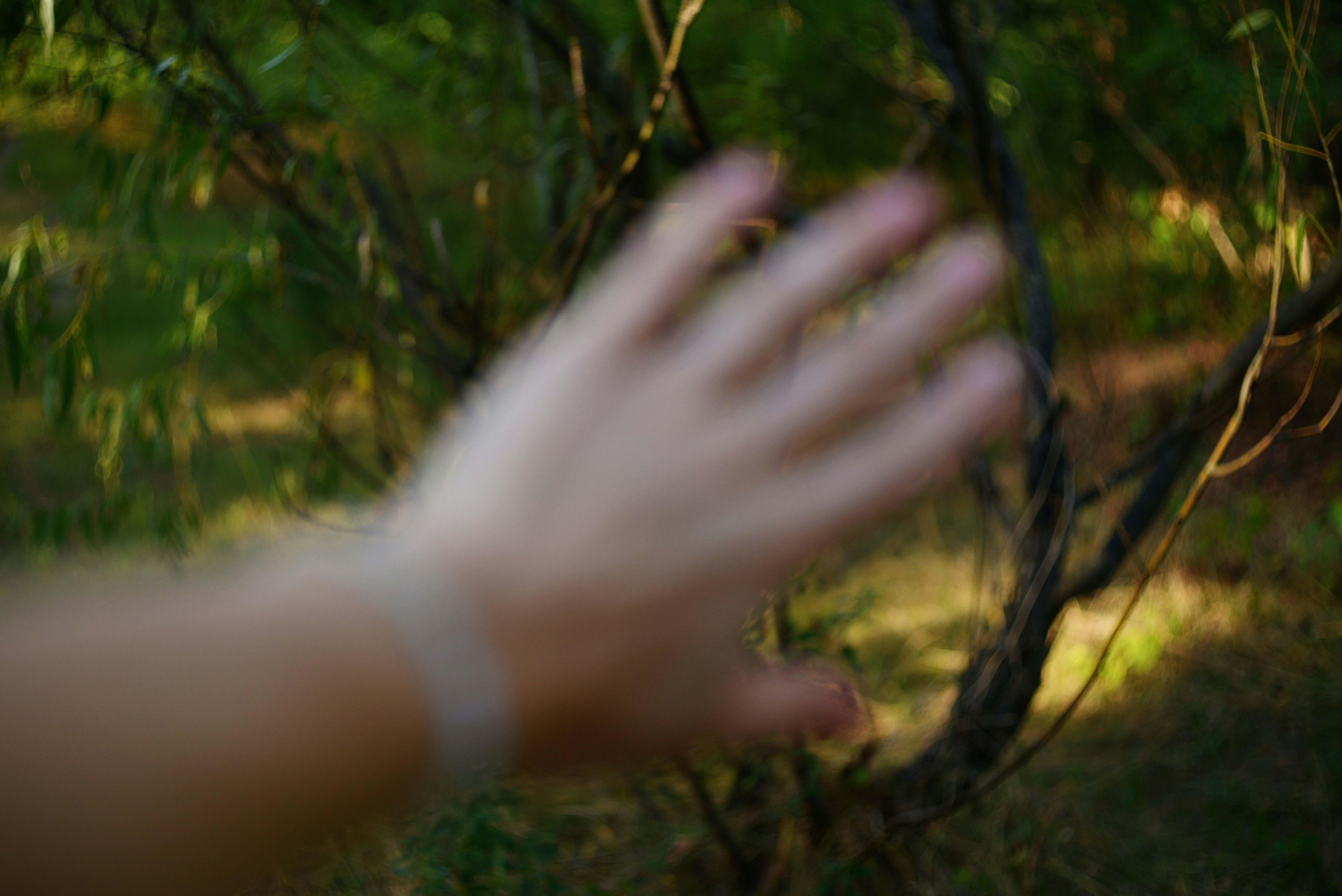 Blurred Reach: A Vague Pause Between Hands and Vines
