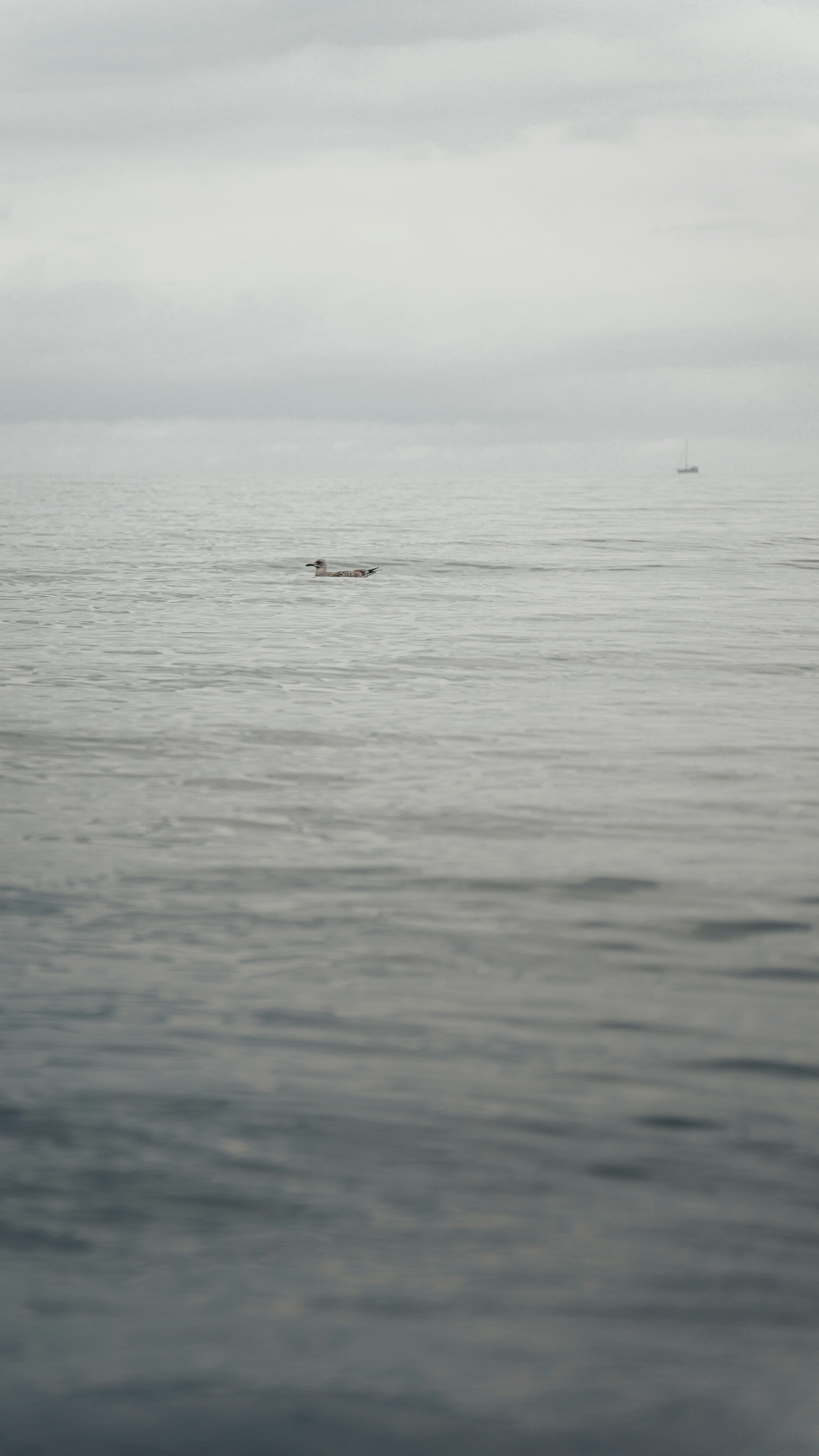 Minimalist seascape with a small boat on placid water and a distant sailboat under a soft cloudy sky. A serene, contemplative scene without prominent human activity.