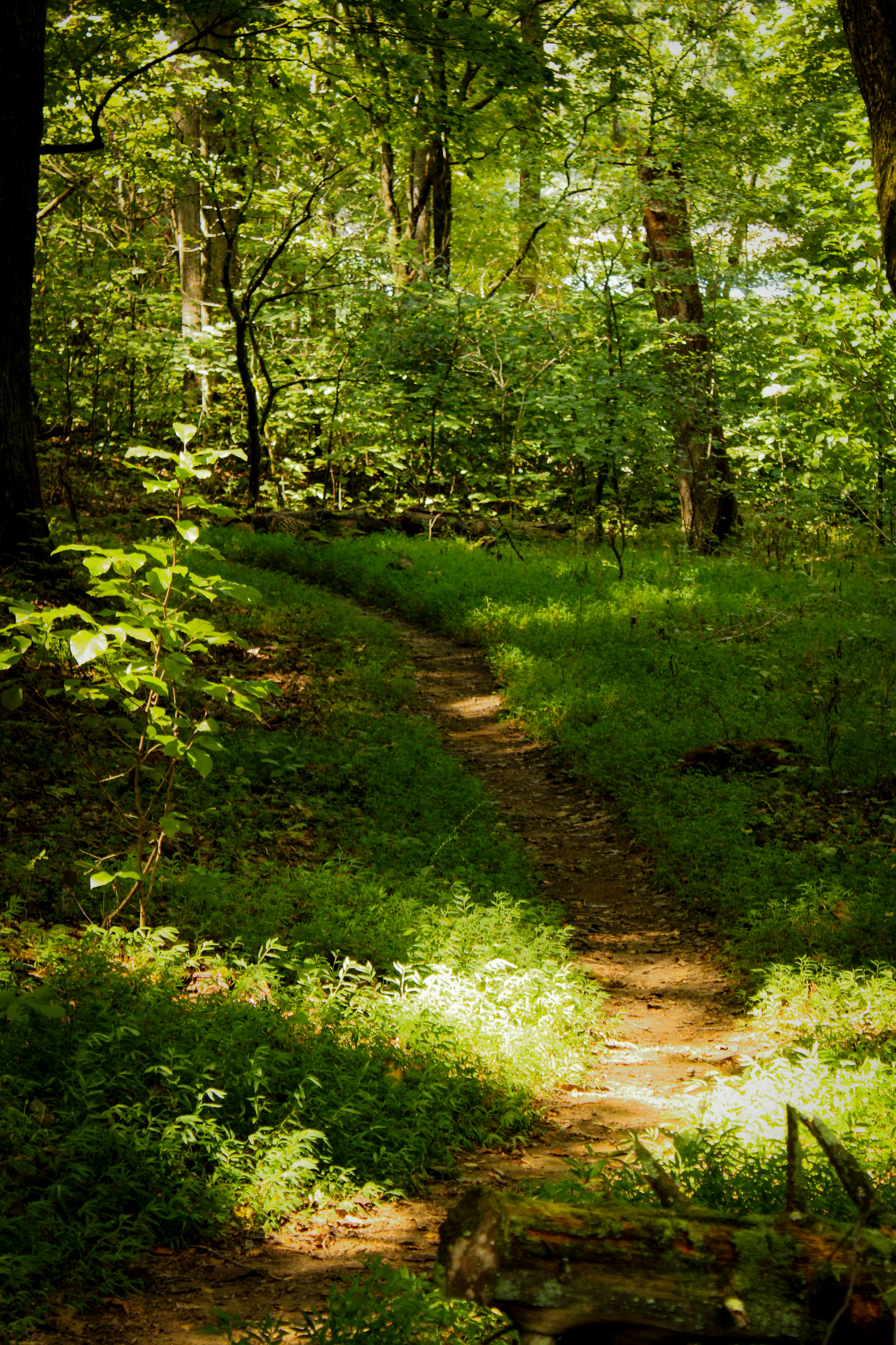 Photo by Niki Clark with Canon EOS 2000D