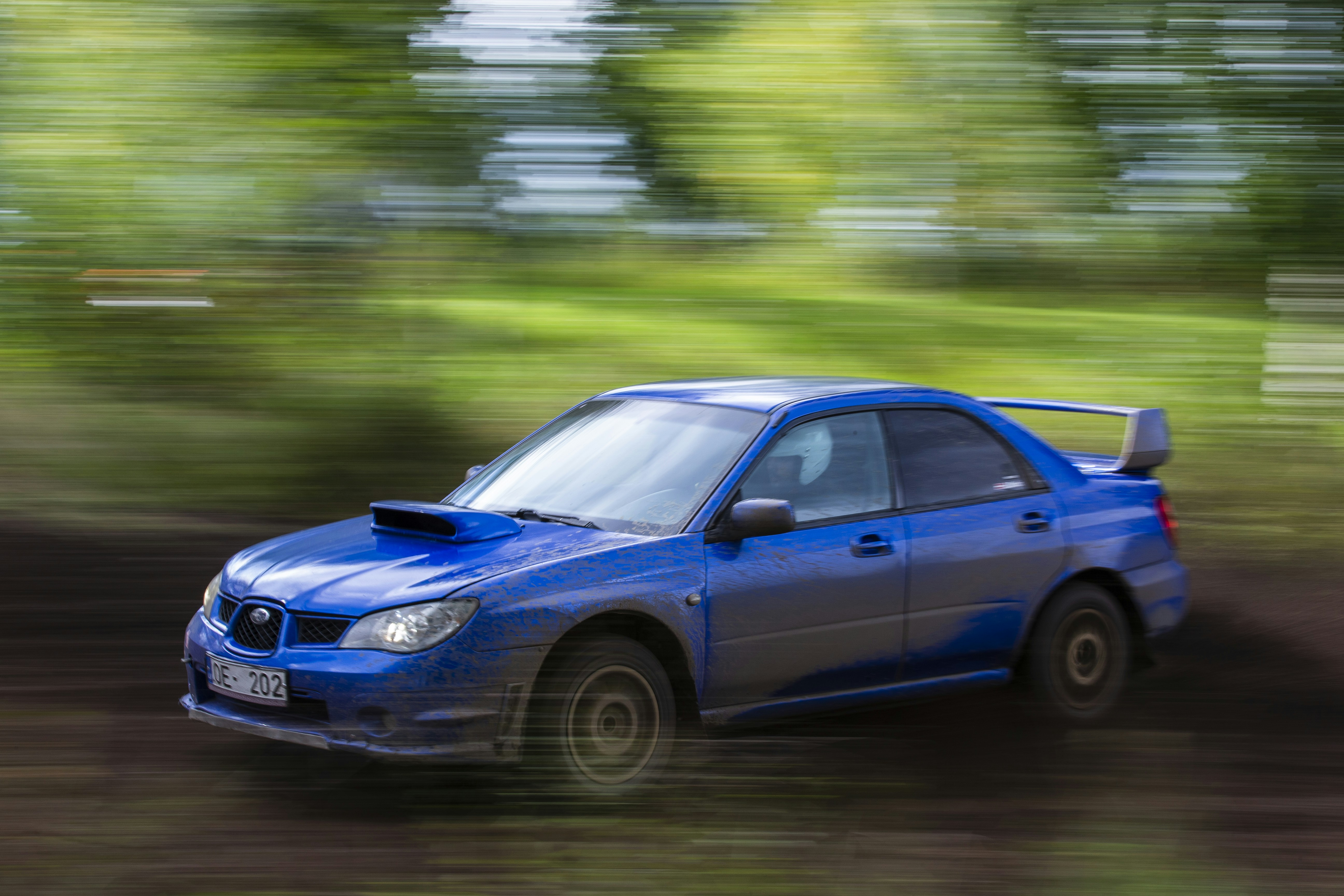 Blue Rally Blur: A Striking Sprint Through Green Veil