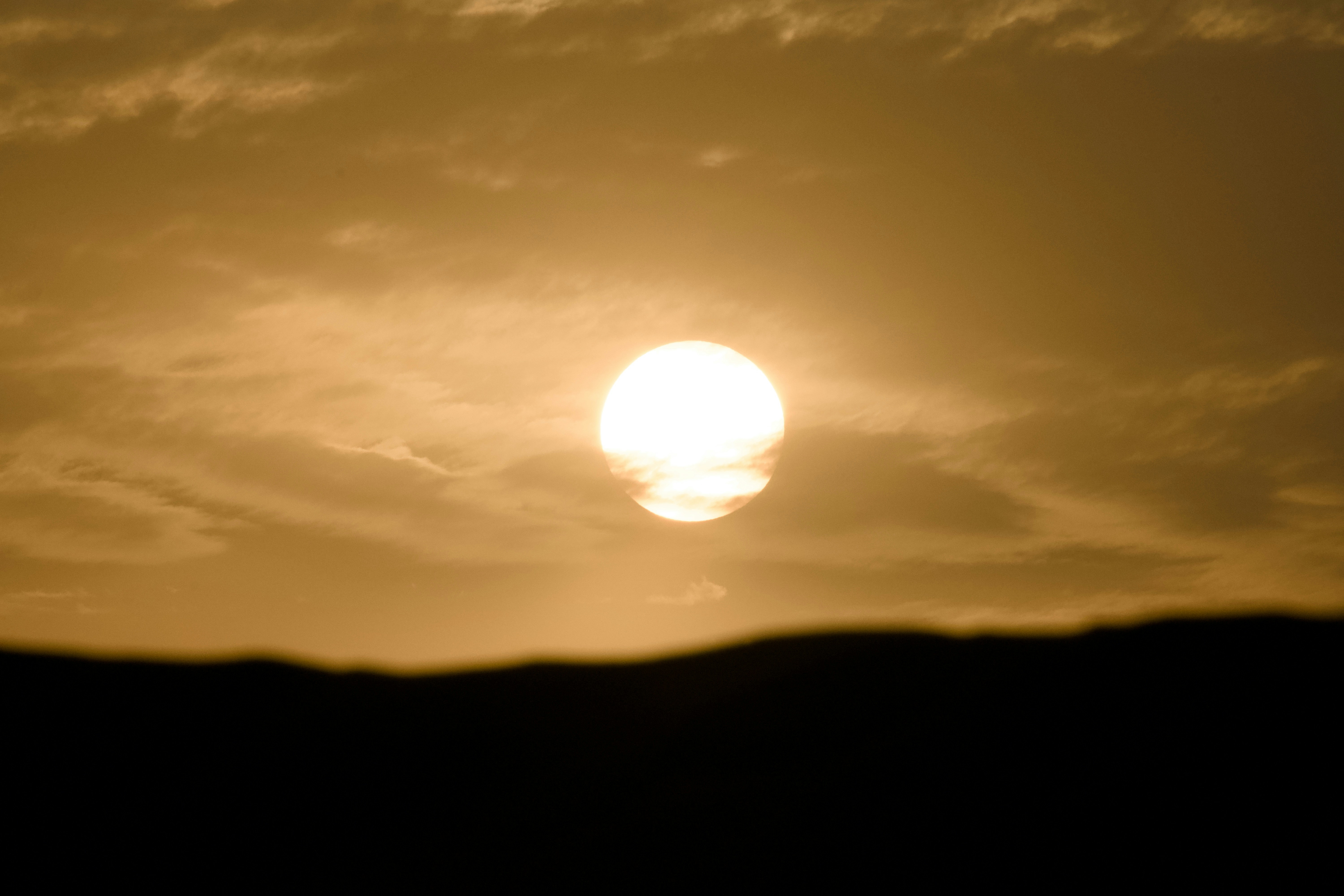 Sunlit Horizon: A Quiet Evening at the Dune Ridge