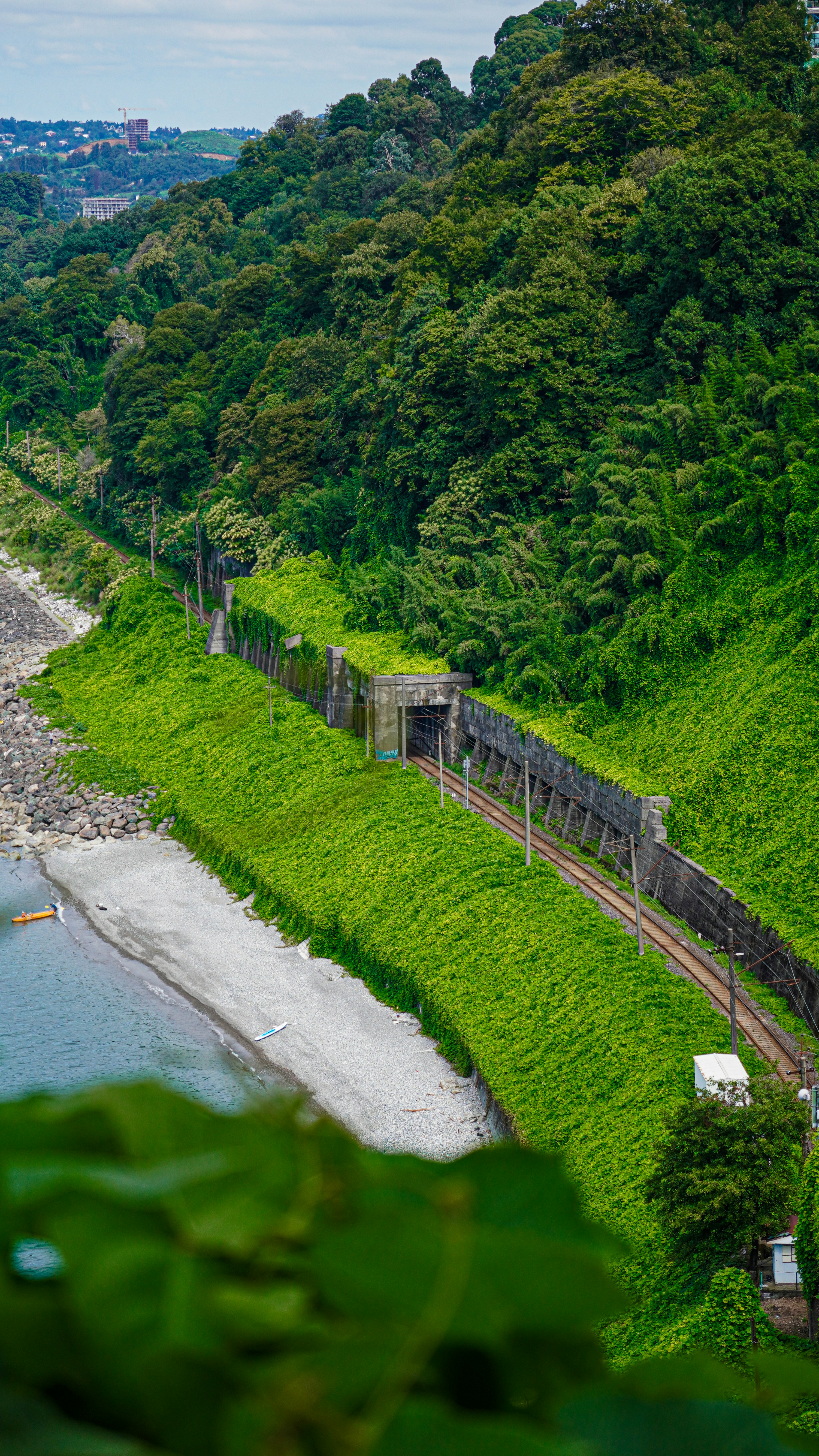 Railway Veil: Green Wall and Sea Edge