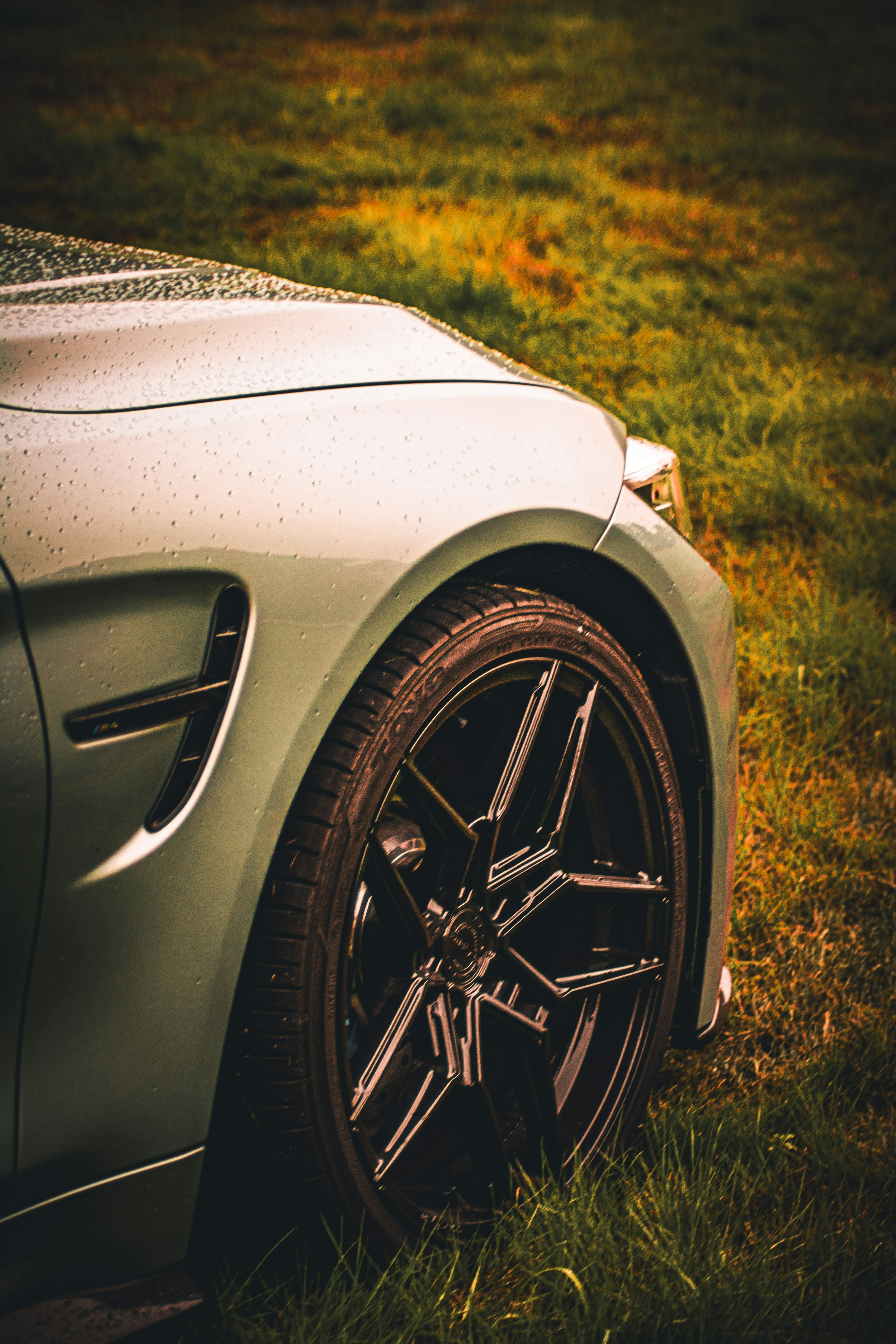 A Low-Rlung of Green: Front Quarter of a Mint Tesla-tinged Car by the Grass