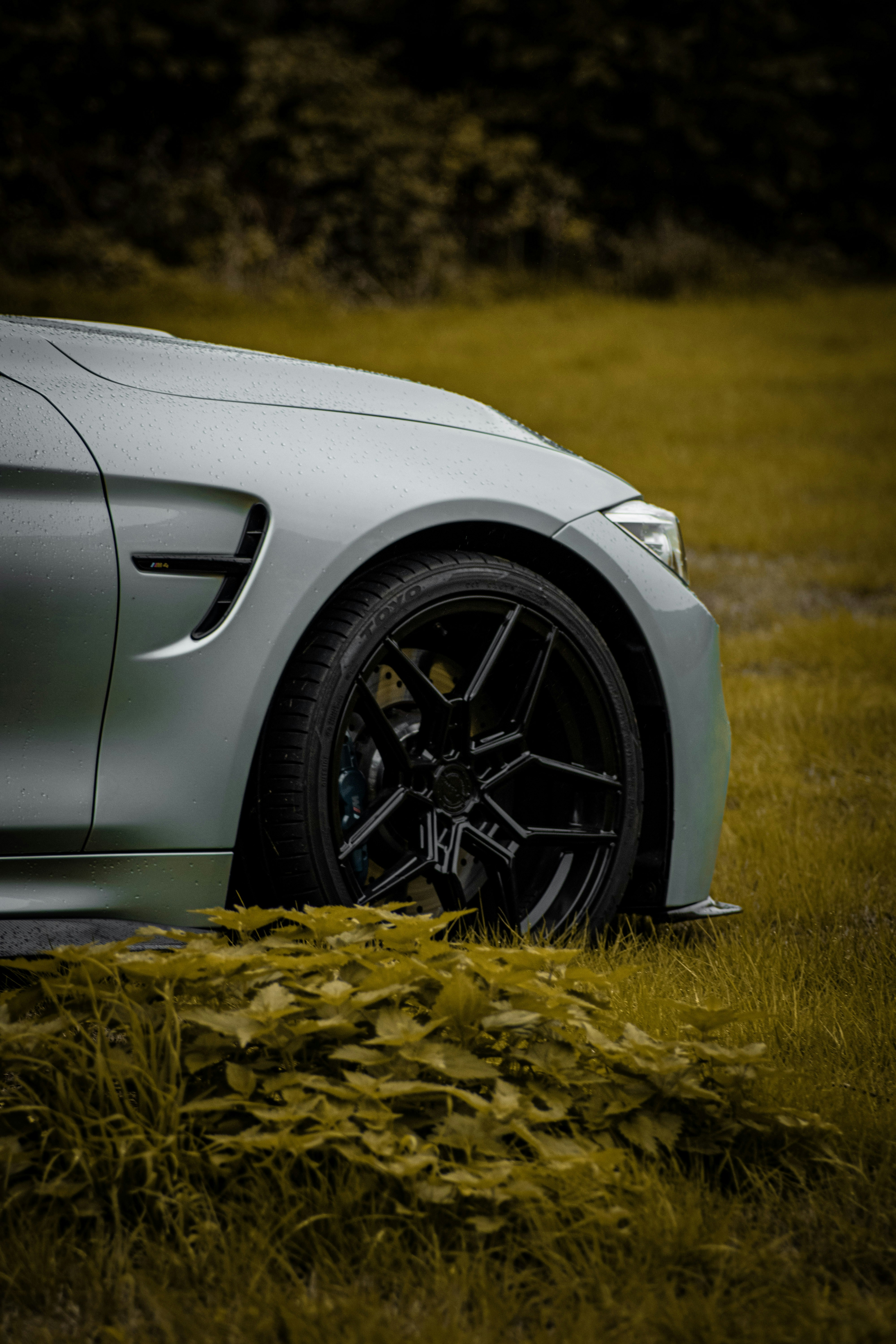 Low-Profile Mischief: A Sport Sedan at the Edge of the Field