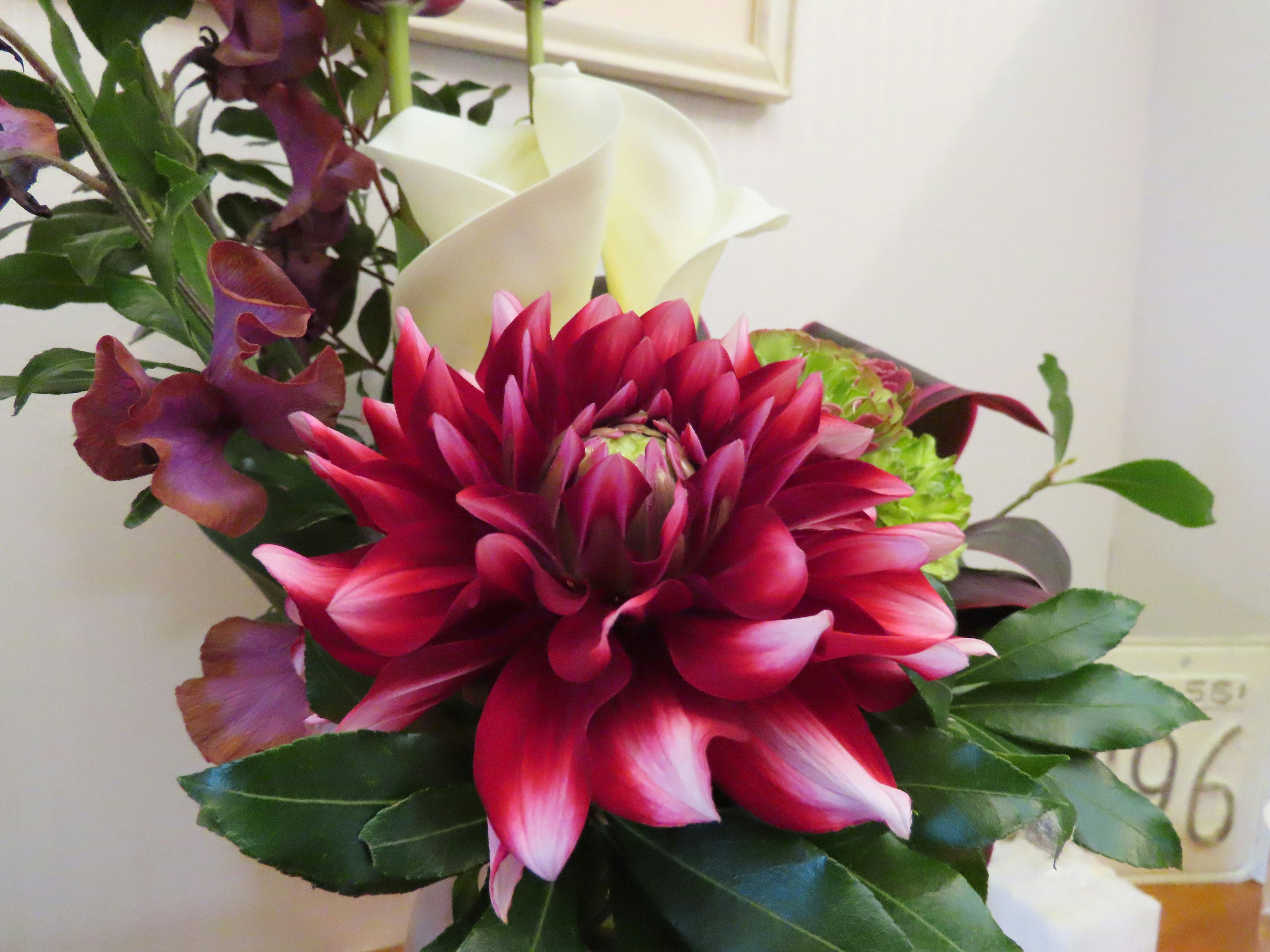 Crimson Bloom Centerpiece: A Deep Pink Dahlia in Soft Indoor Light