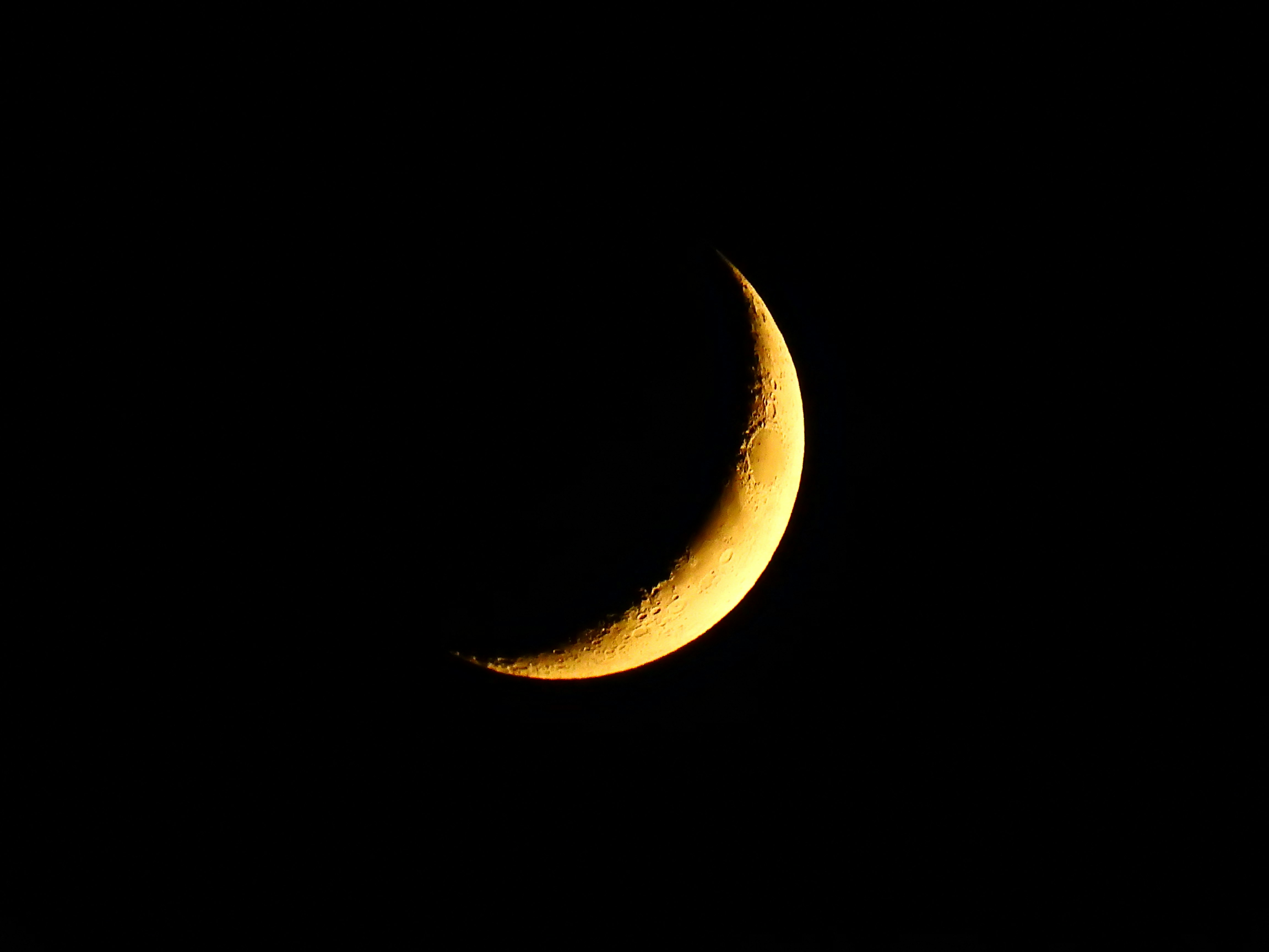 Luminous Crescent: a solitary lunar edge in deep night