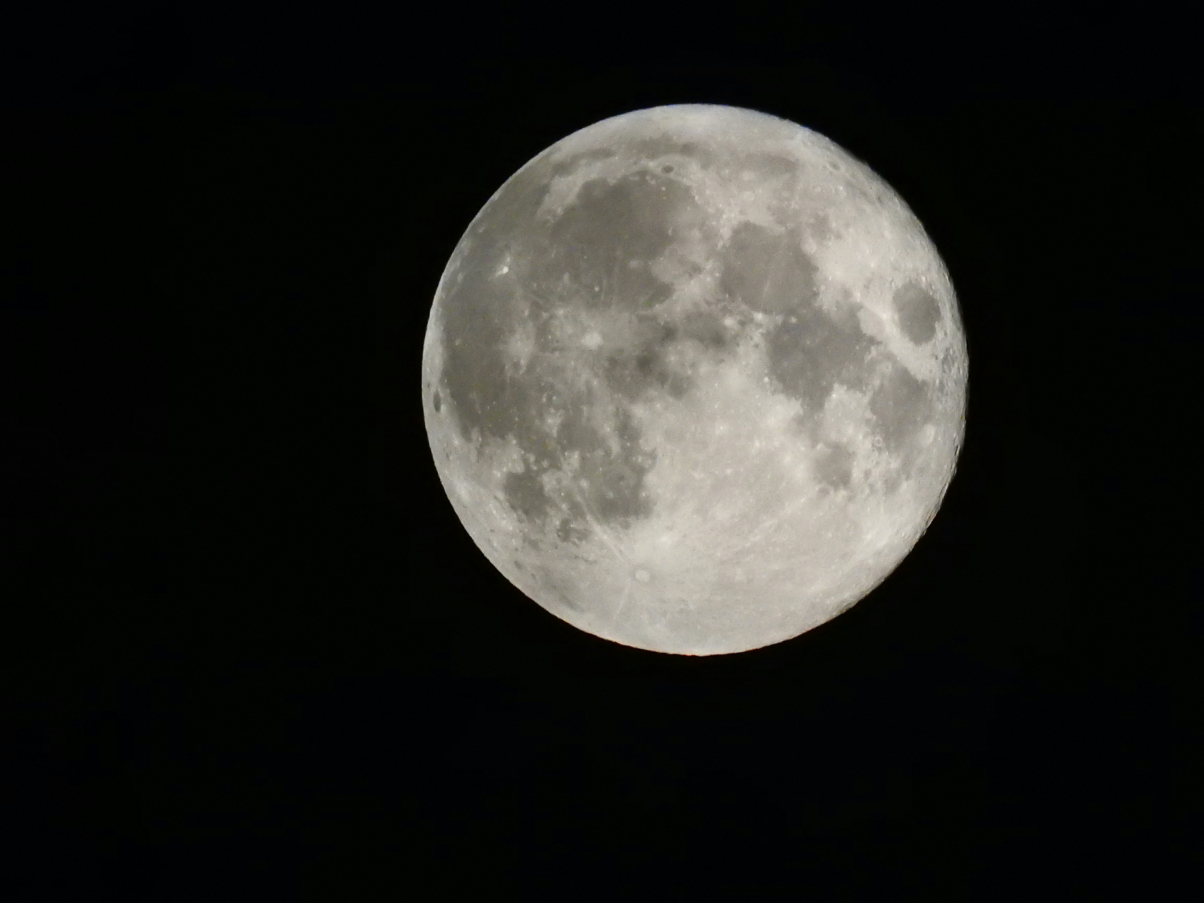 Lone Moon Rising: Crisp Lunar Detail Against Night
