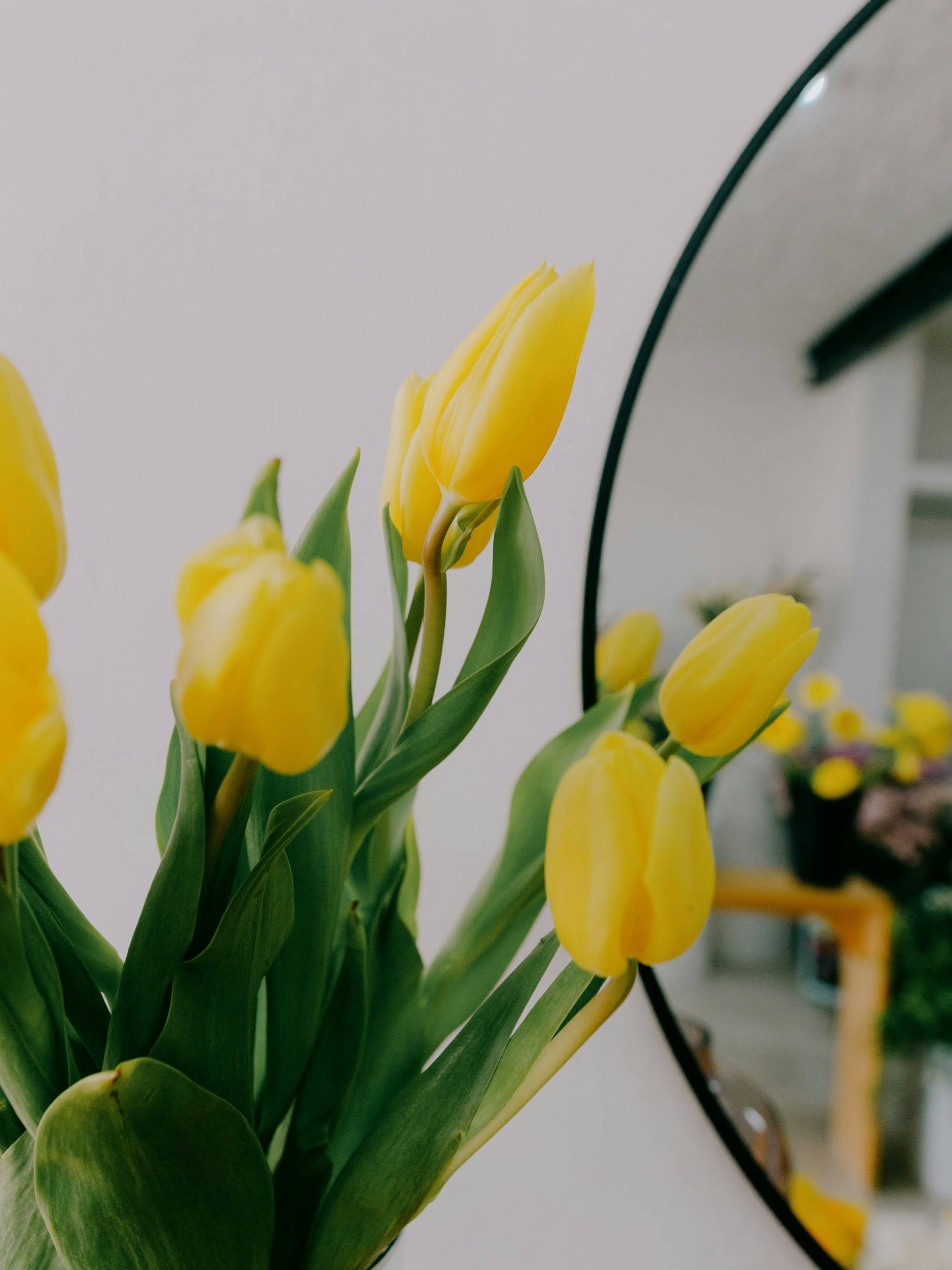 Yellow Tulips in Front of a Round Mirror