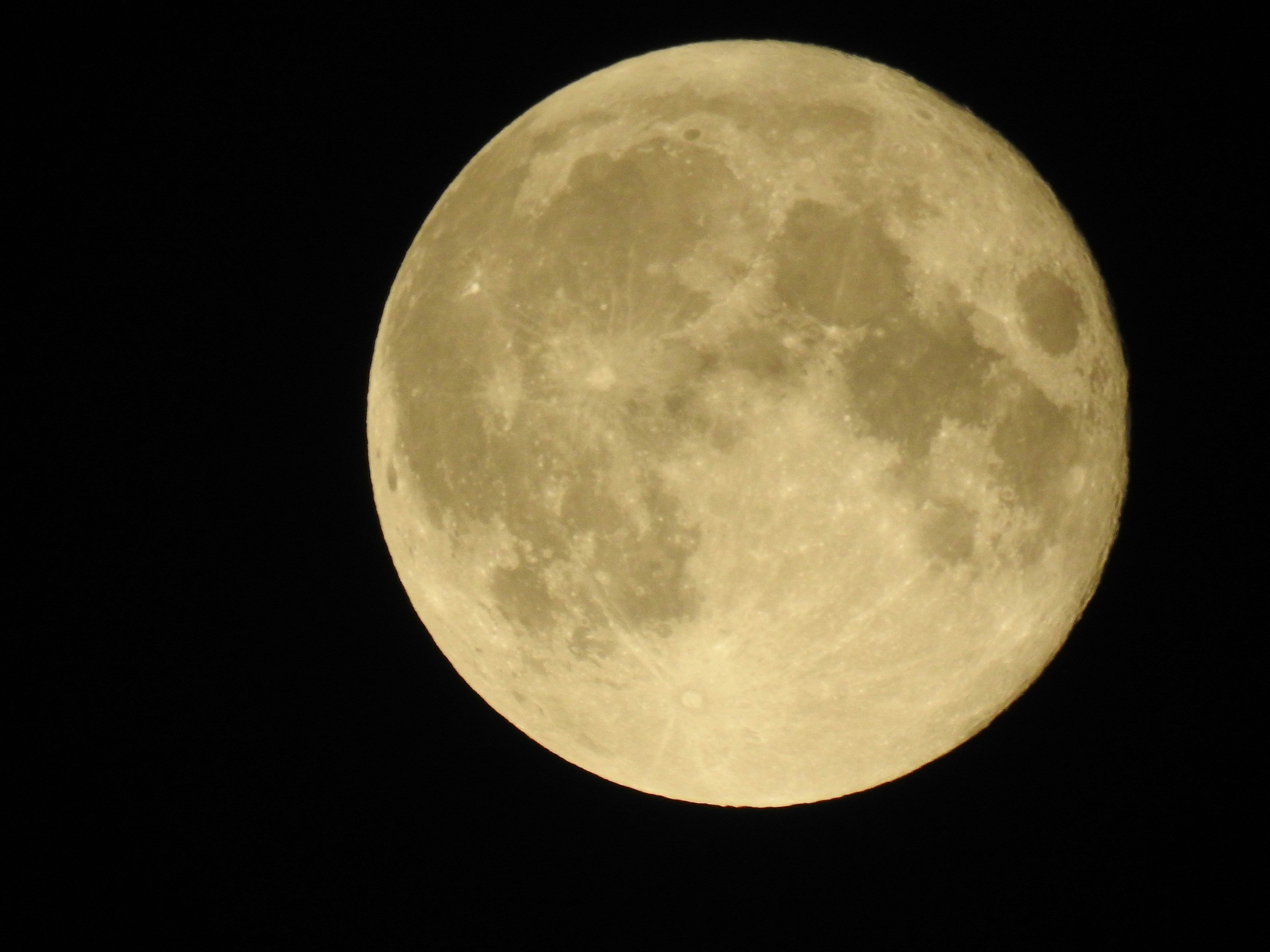 Lone Moon in a Velvet Night