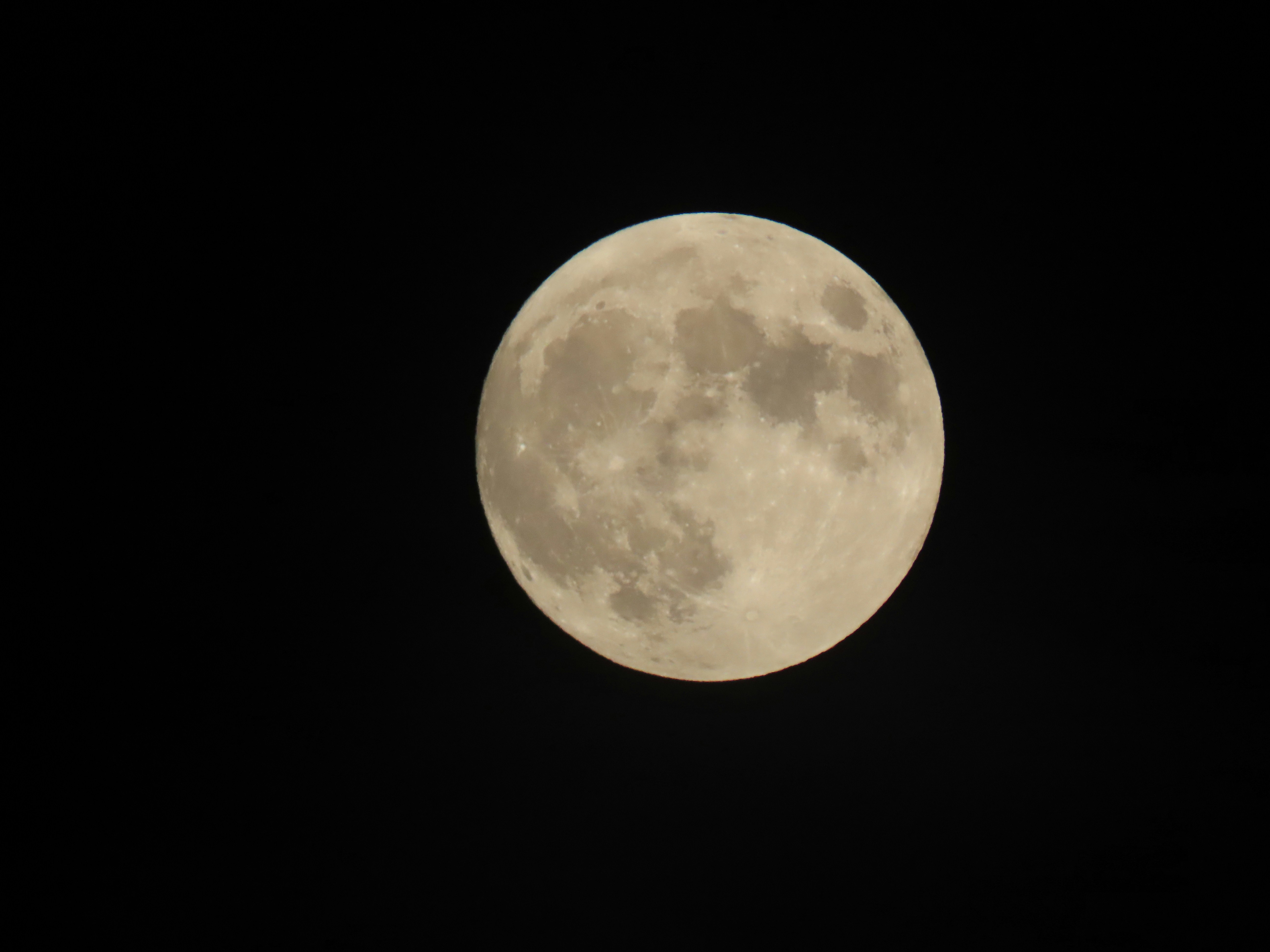 Luminous Orb in Velvet Night