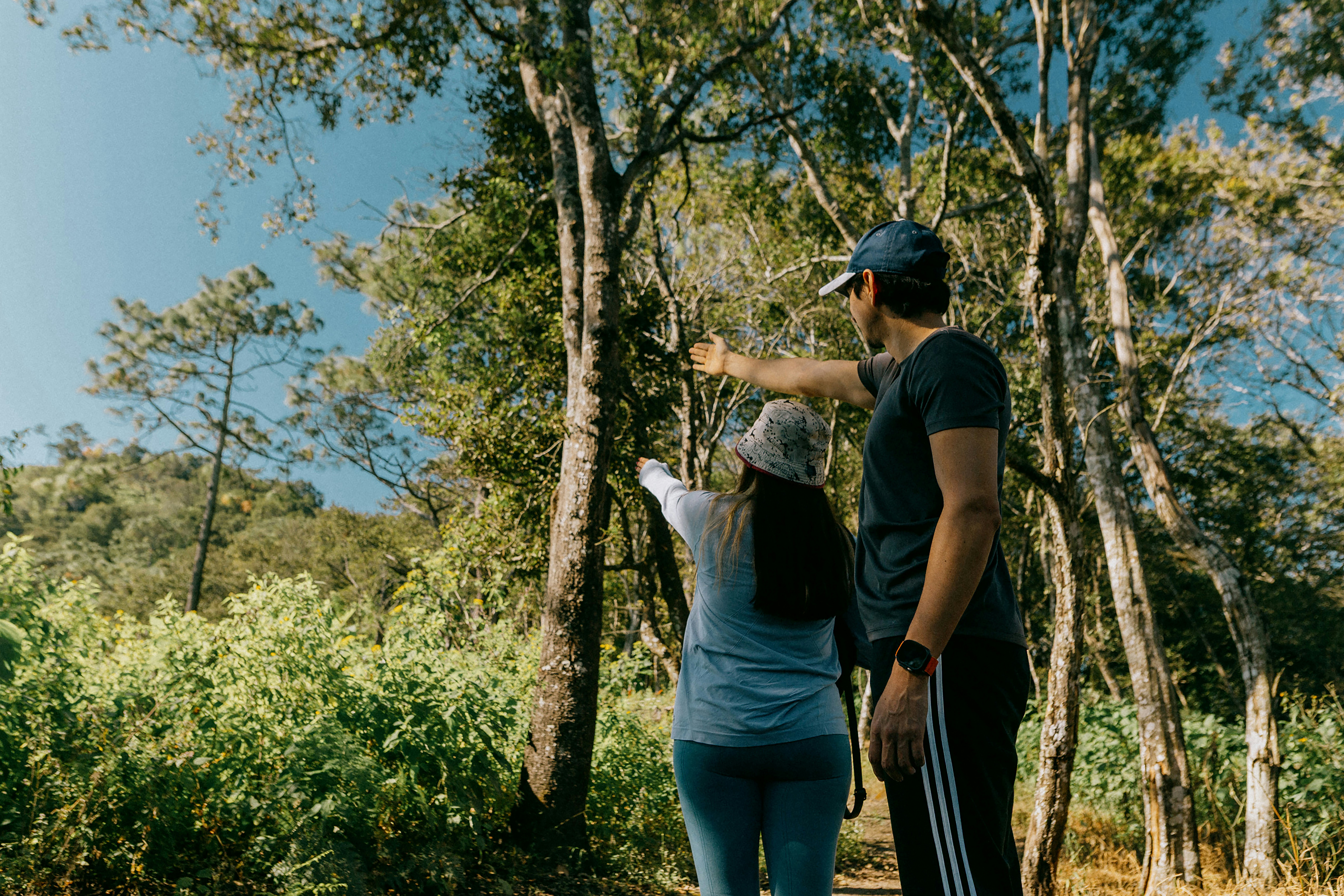 Guided Moment: A Father and Child Scout a Cedar Ridge