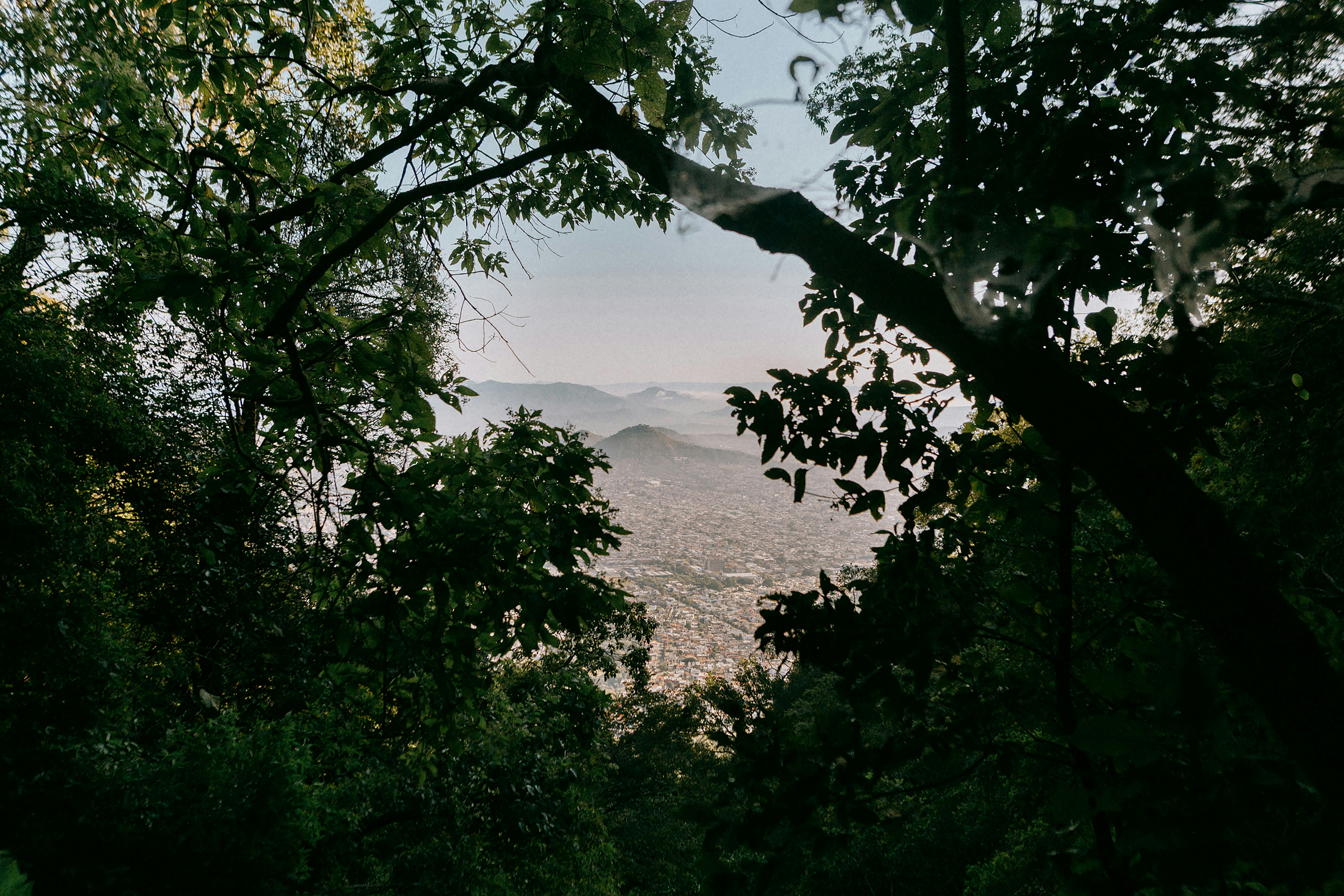 Hidden Valley Beyond the Forest Frame
