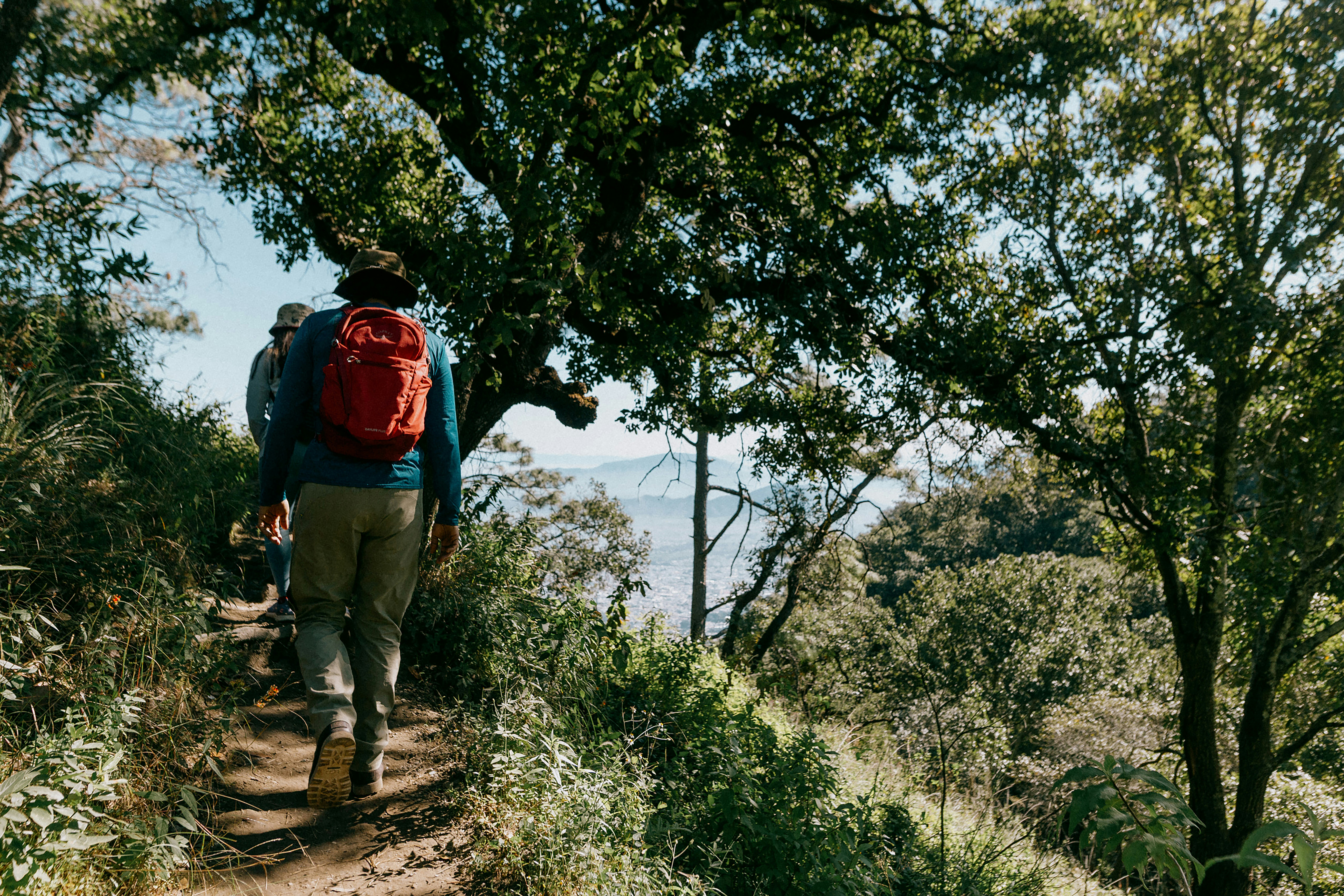 Trailbound: A Small Group Ascends a Winding Forest Path