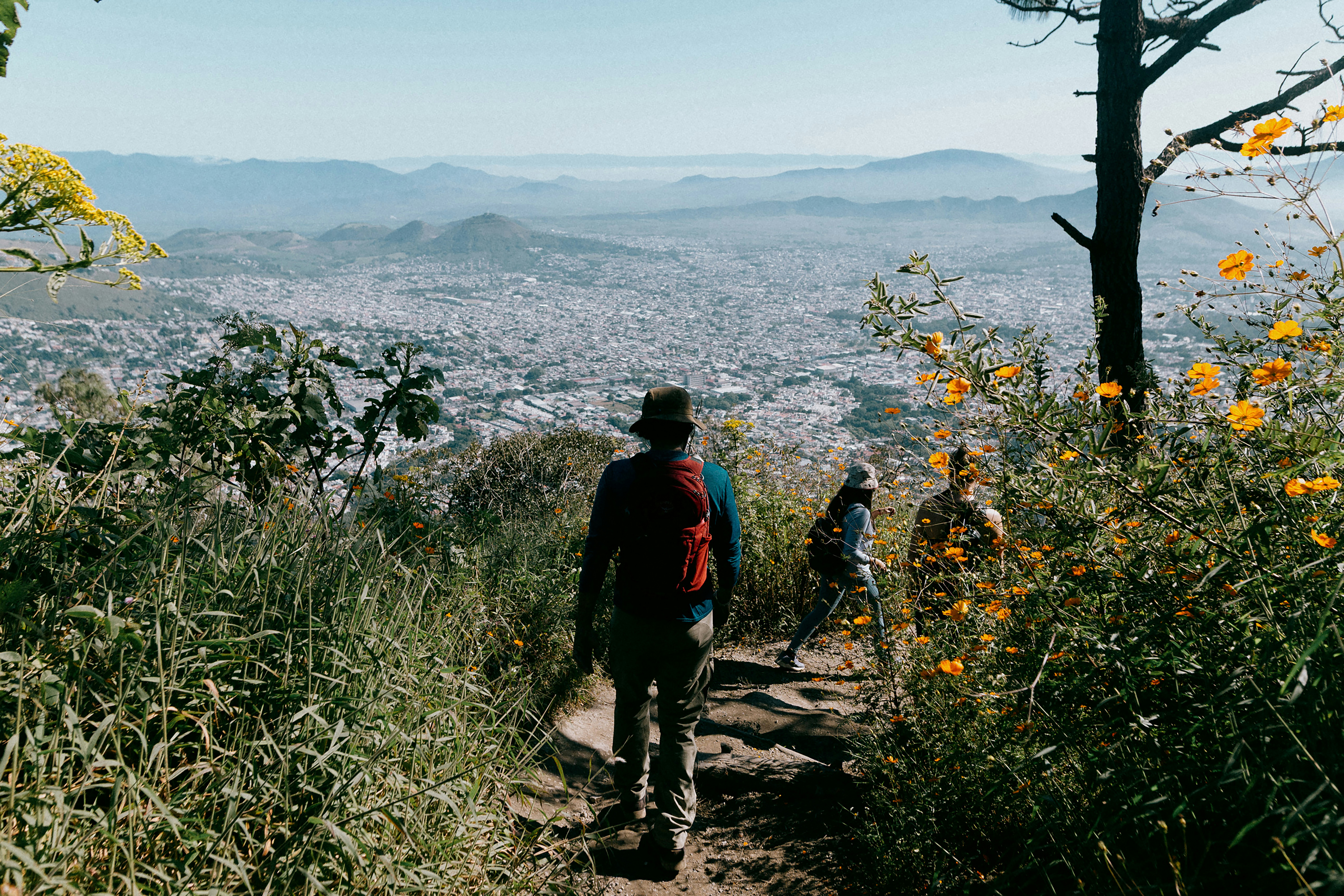 Trail to the City Vista: Climbers on a Panoramic Hill