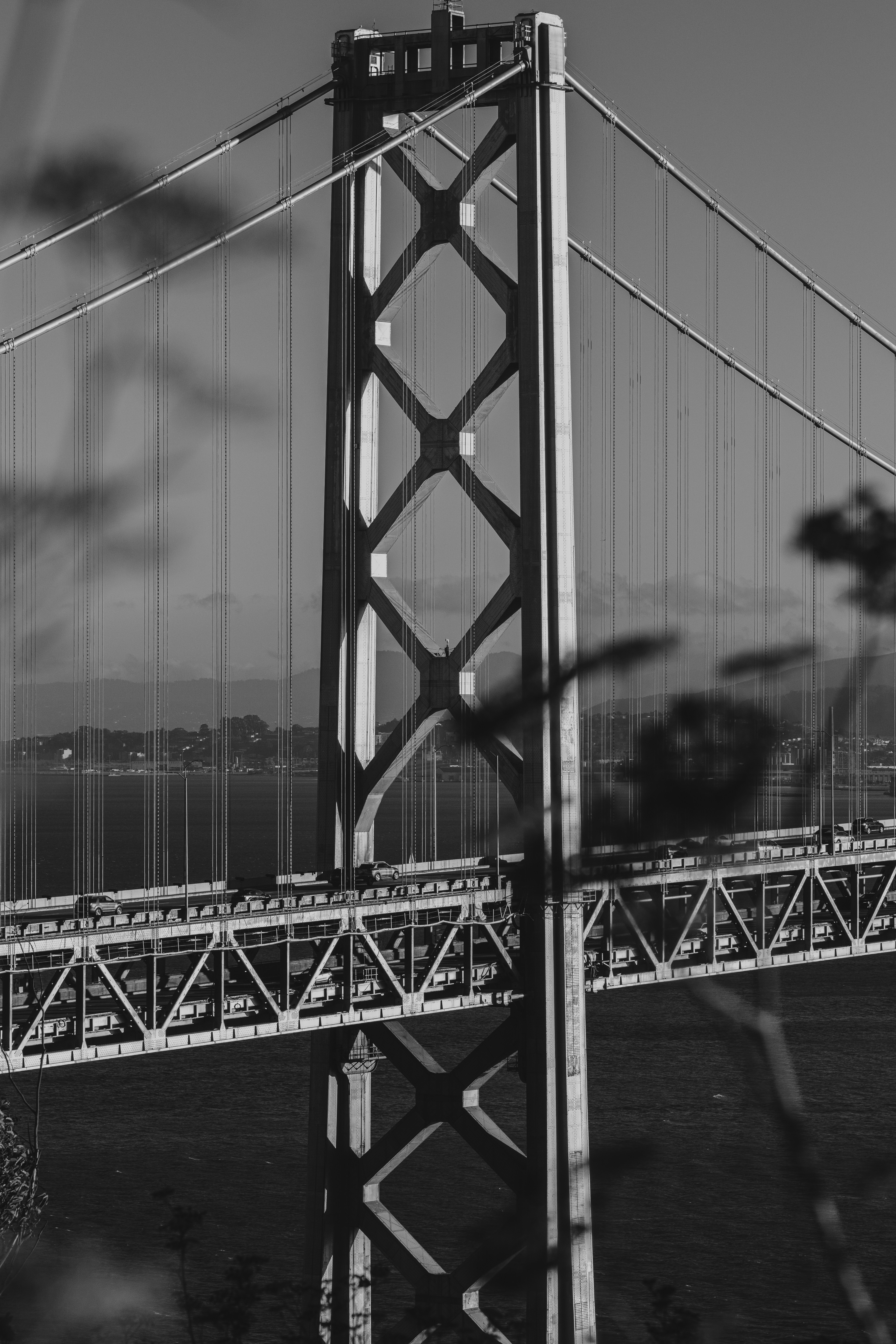 Suspended Geometry: A Mono Bridge Stretches Across the Bay