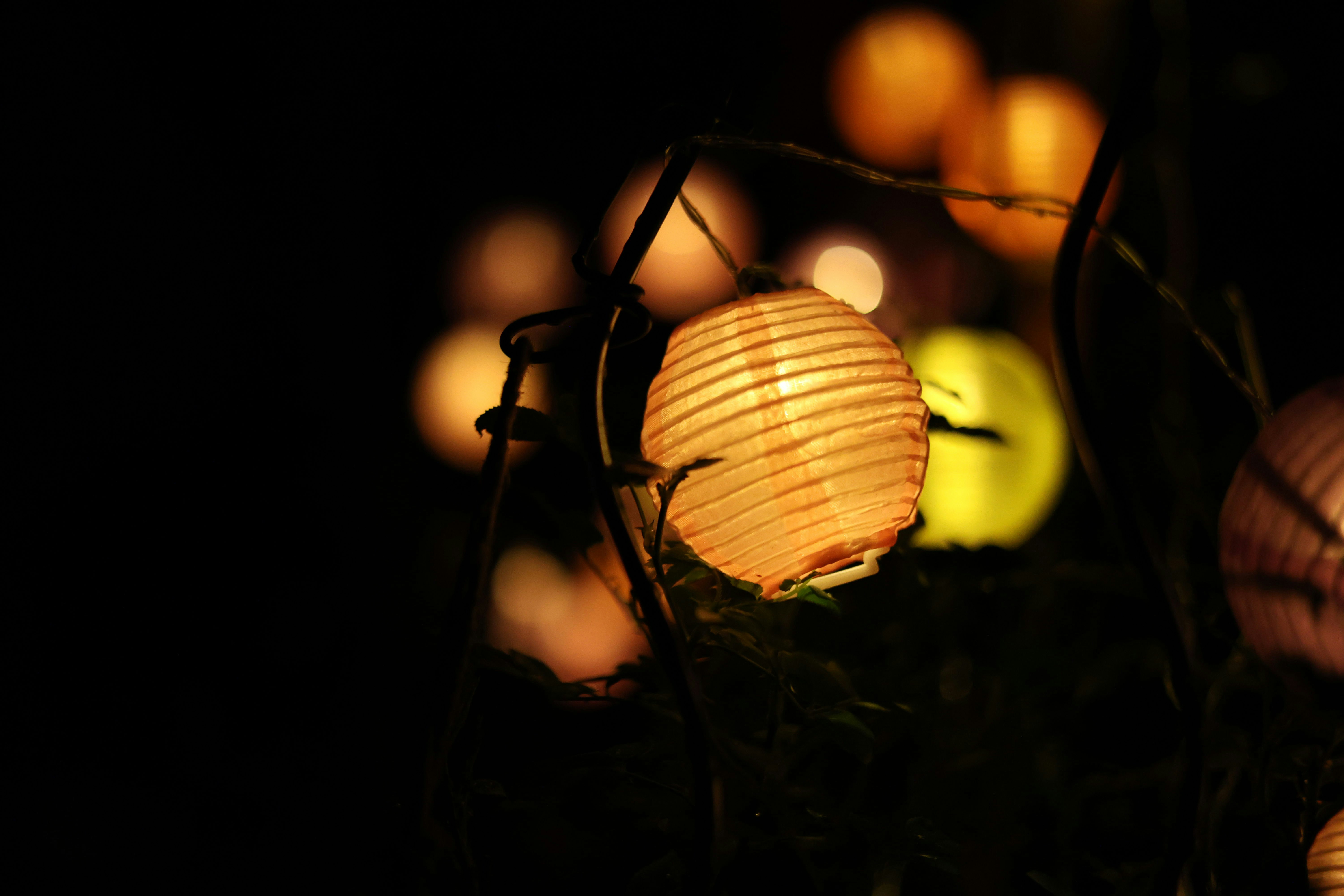 Moonlit Lanterns: Warm Orbs in a Velvet Night