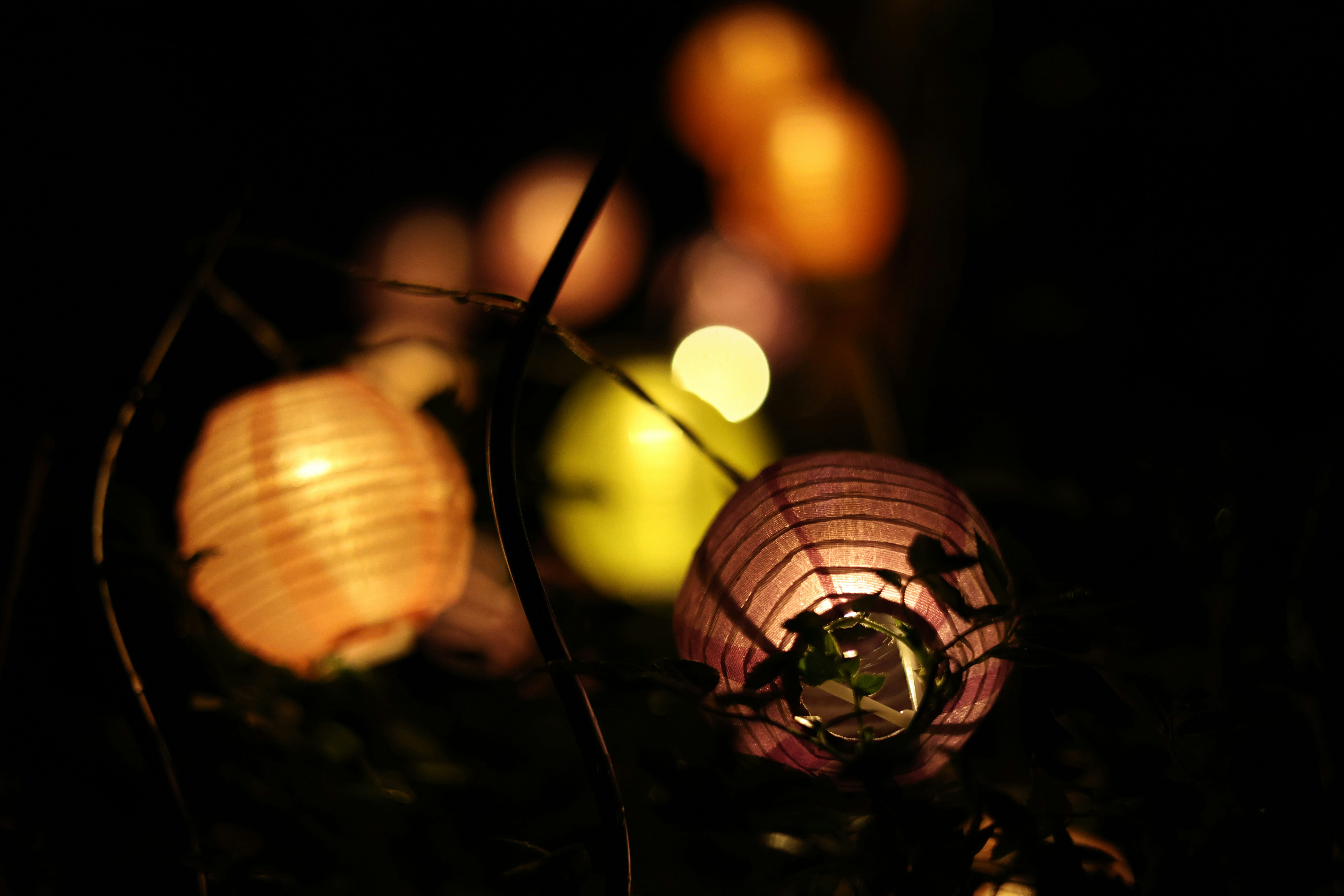 Soft Orbs at Night: A Quiet Lantern Garden