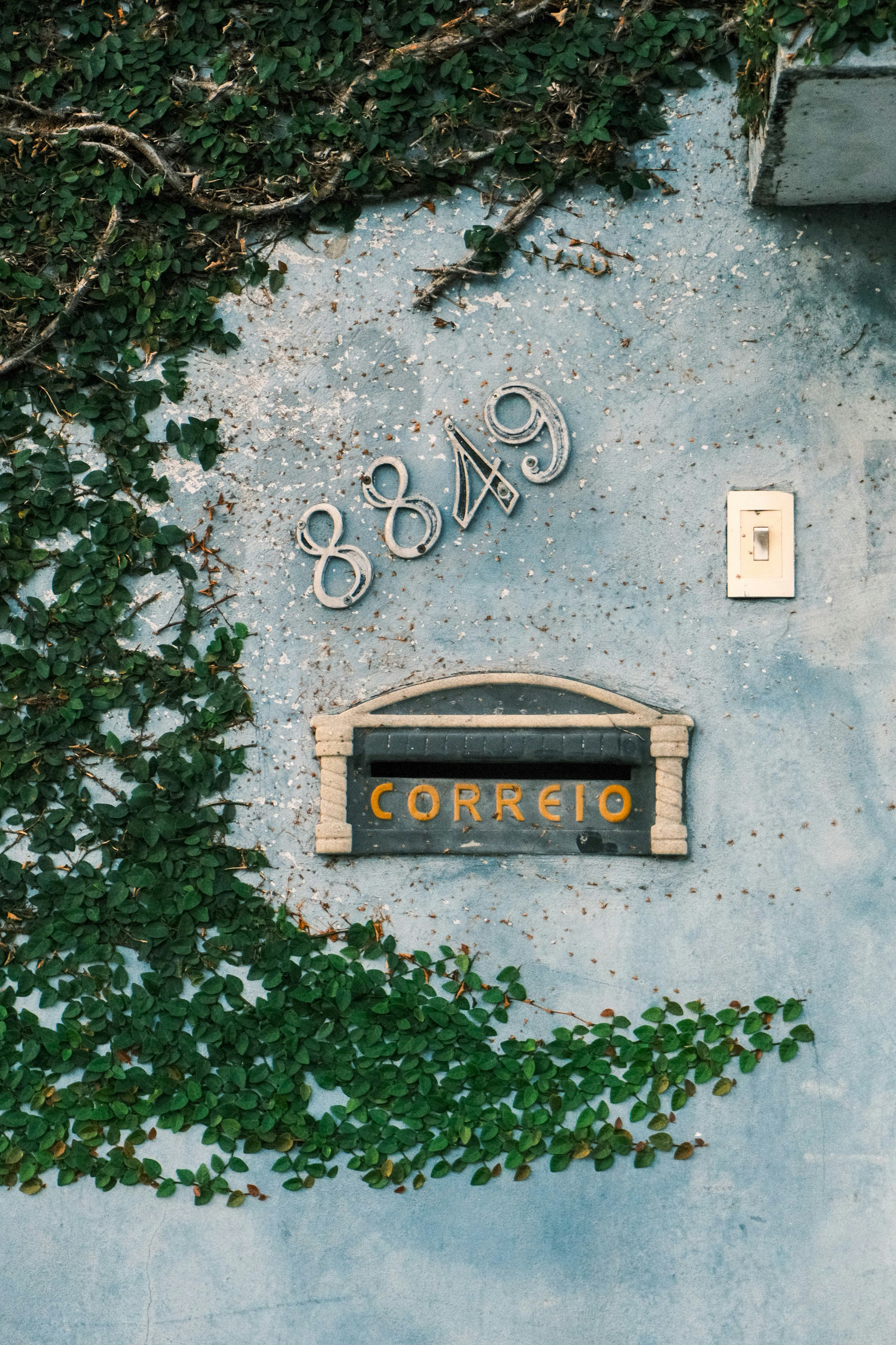 Weathered doorway address tucked in ivy garden wall