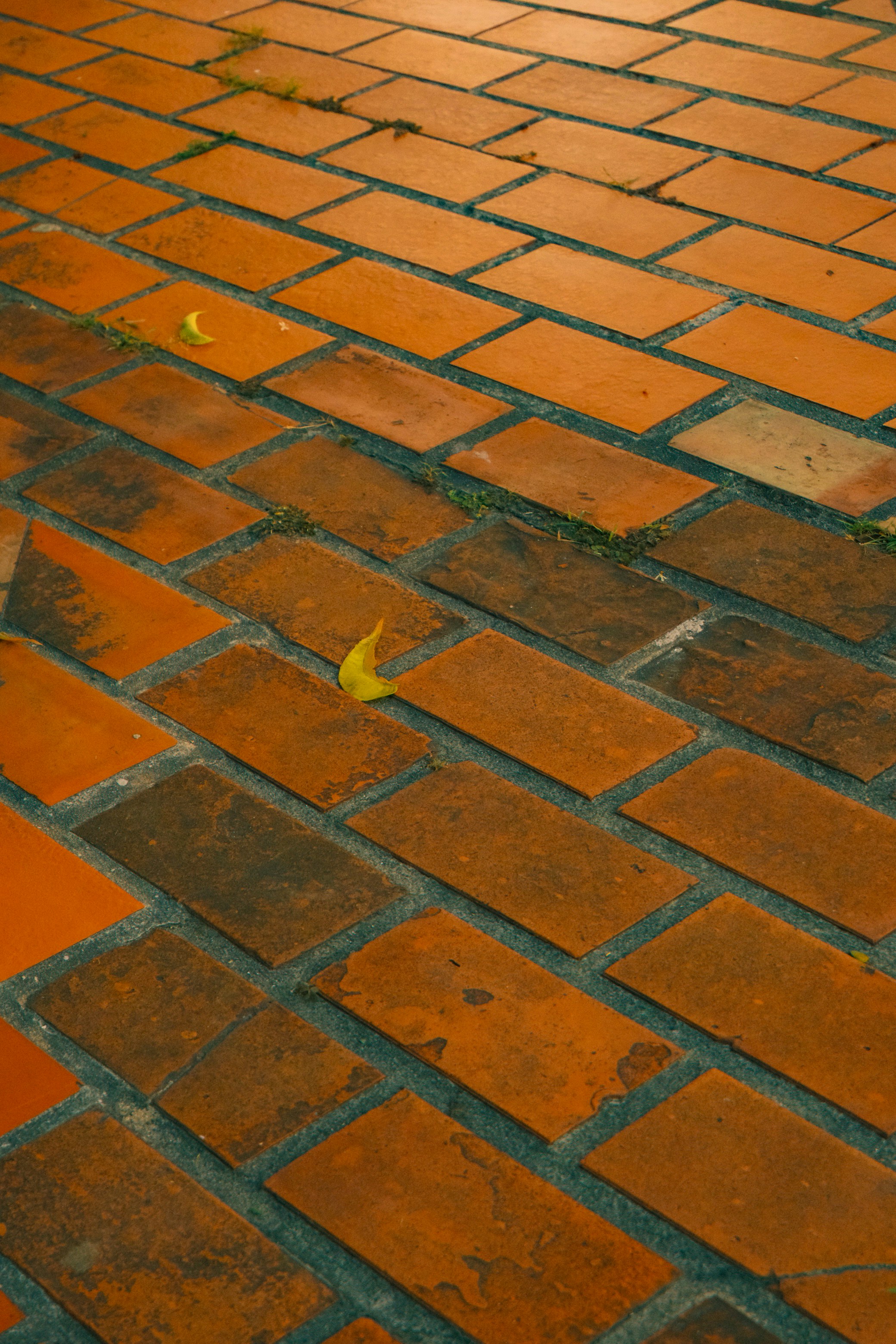Diagonal Amber: A Quiet Walk Across Brick Cadence
