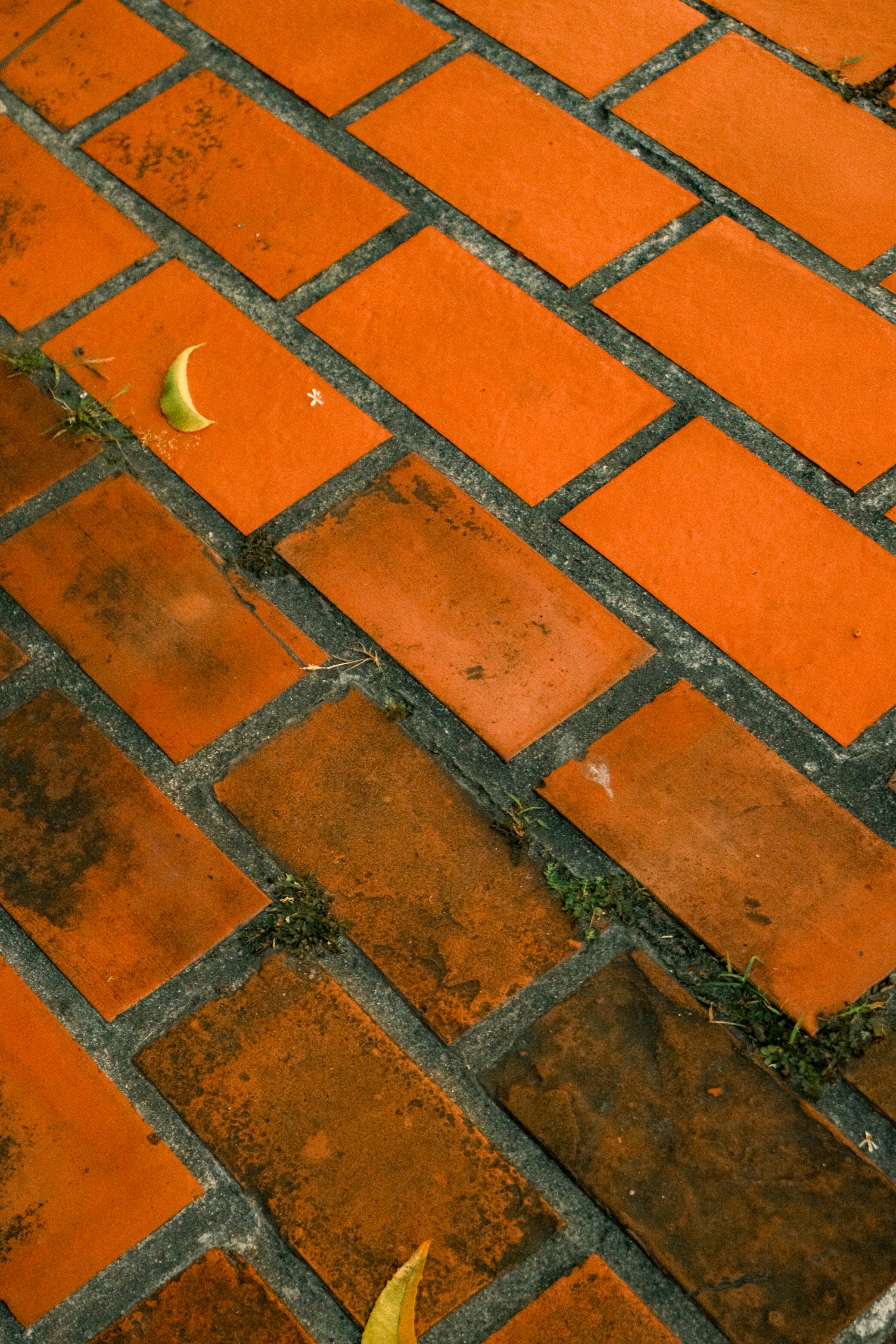 Photo by Ivett M with Fujifilm X-M5