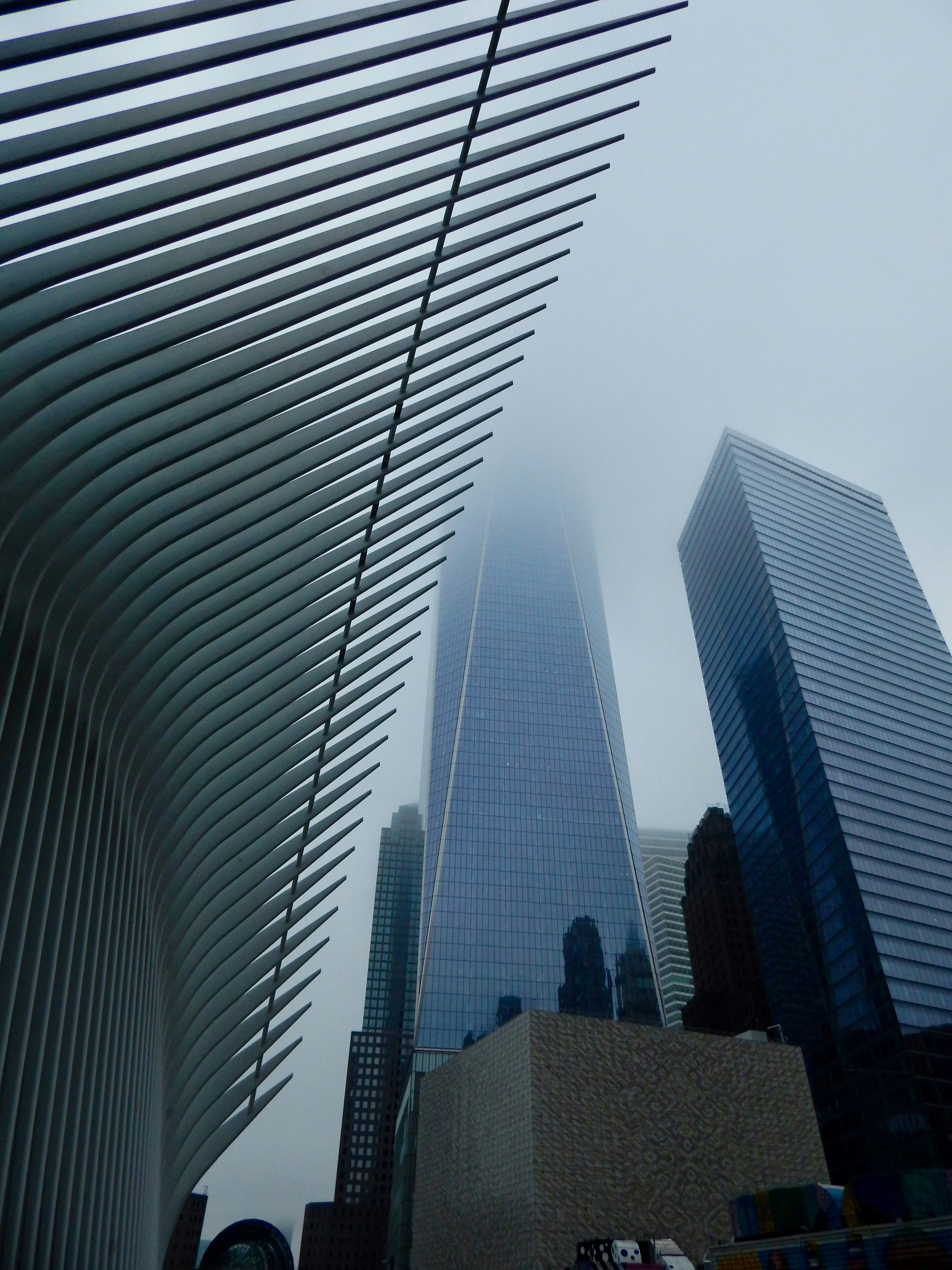 Skyscraper Reverie: Glass, Steel and Mist