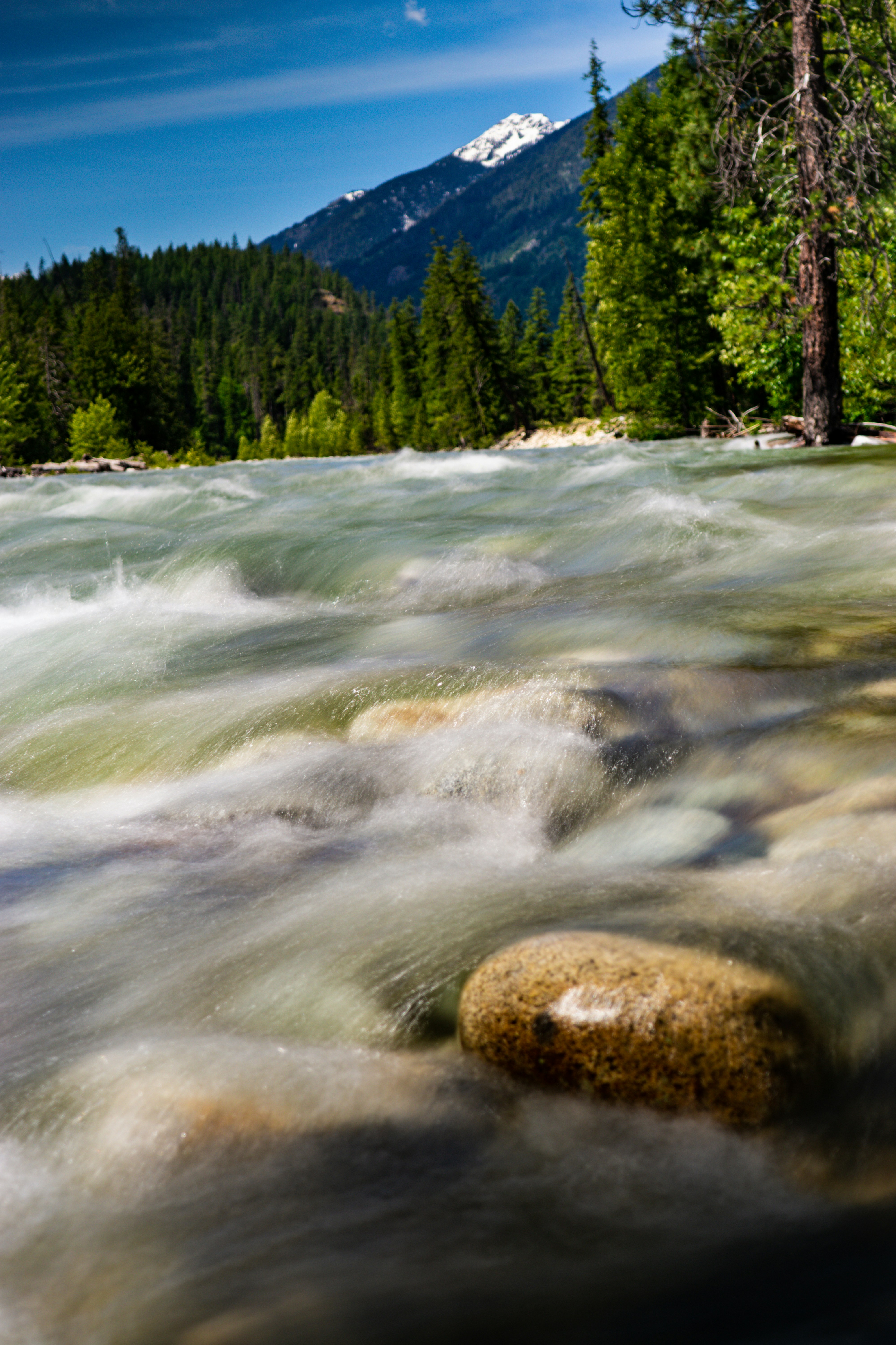 Swift Cascade at the Forest-Rim River
