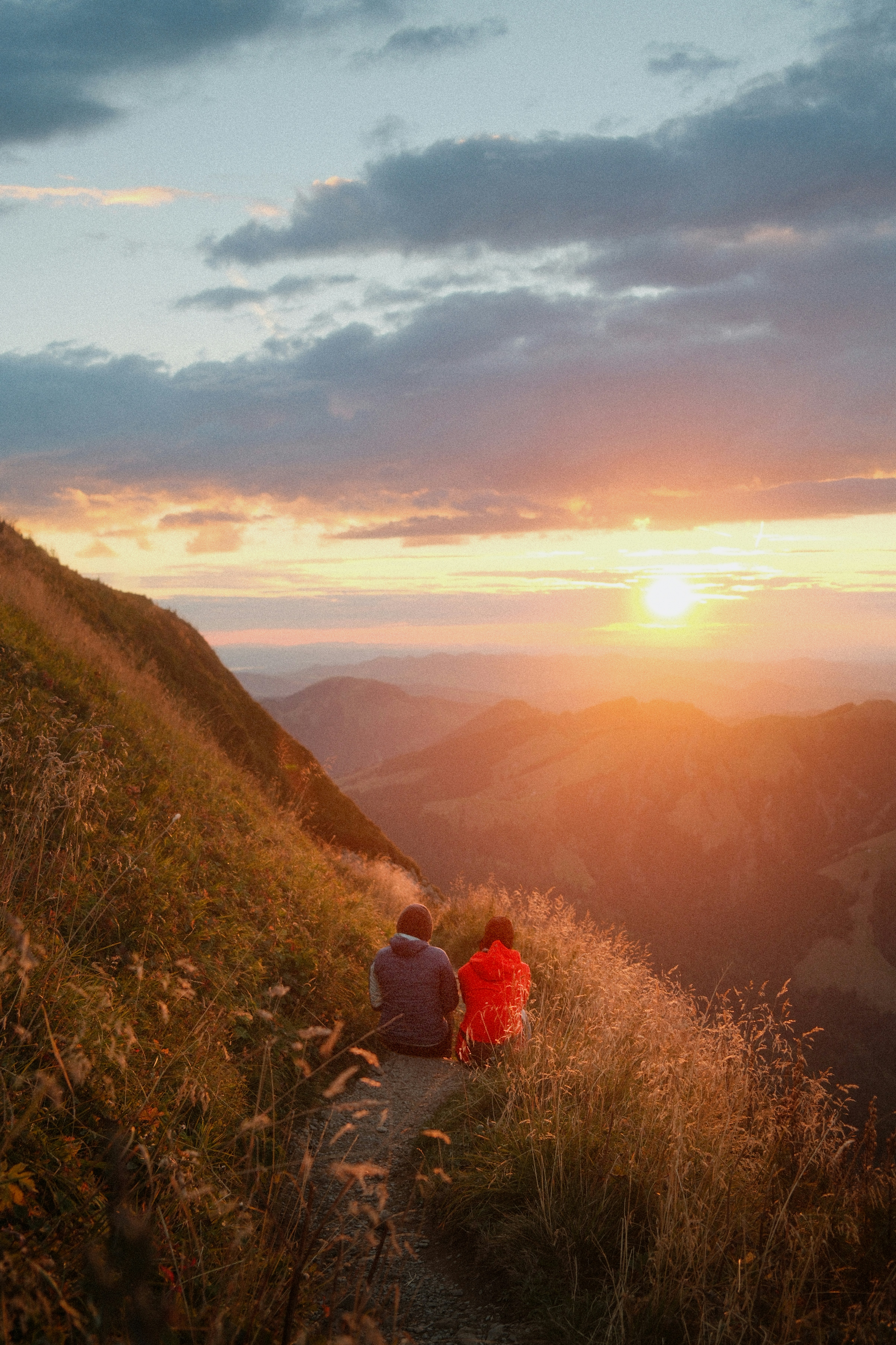 Horizon of Quiet Companionship at Sunset