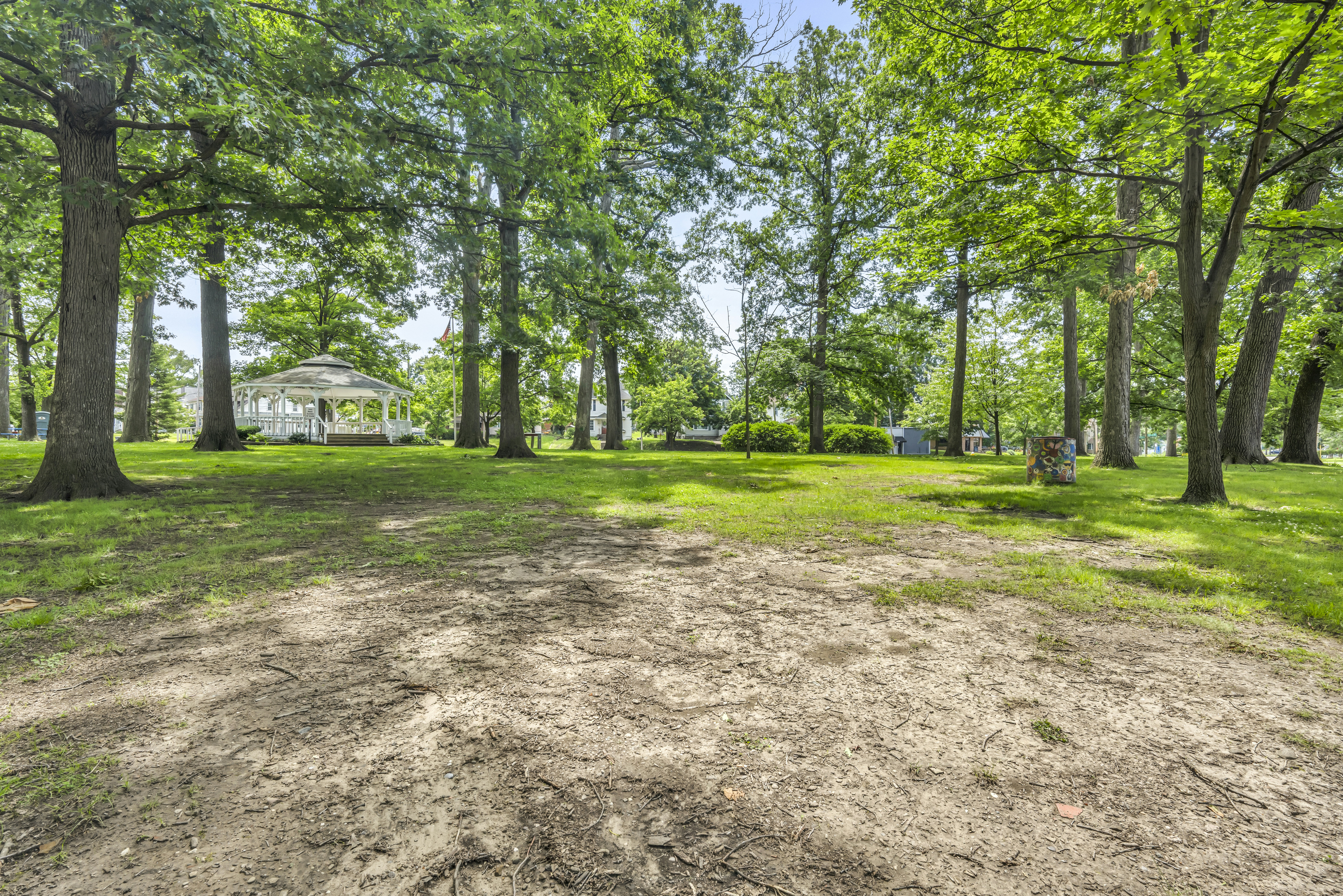 Shaded Green Choir: A Sunlit Park Clearing Framed by Ancient Trees