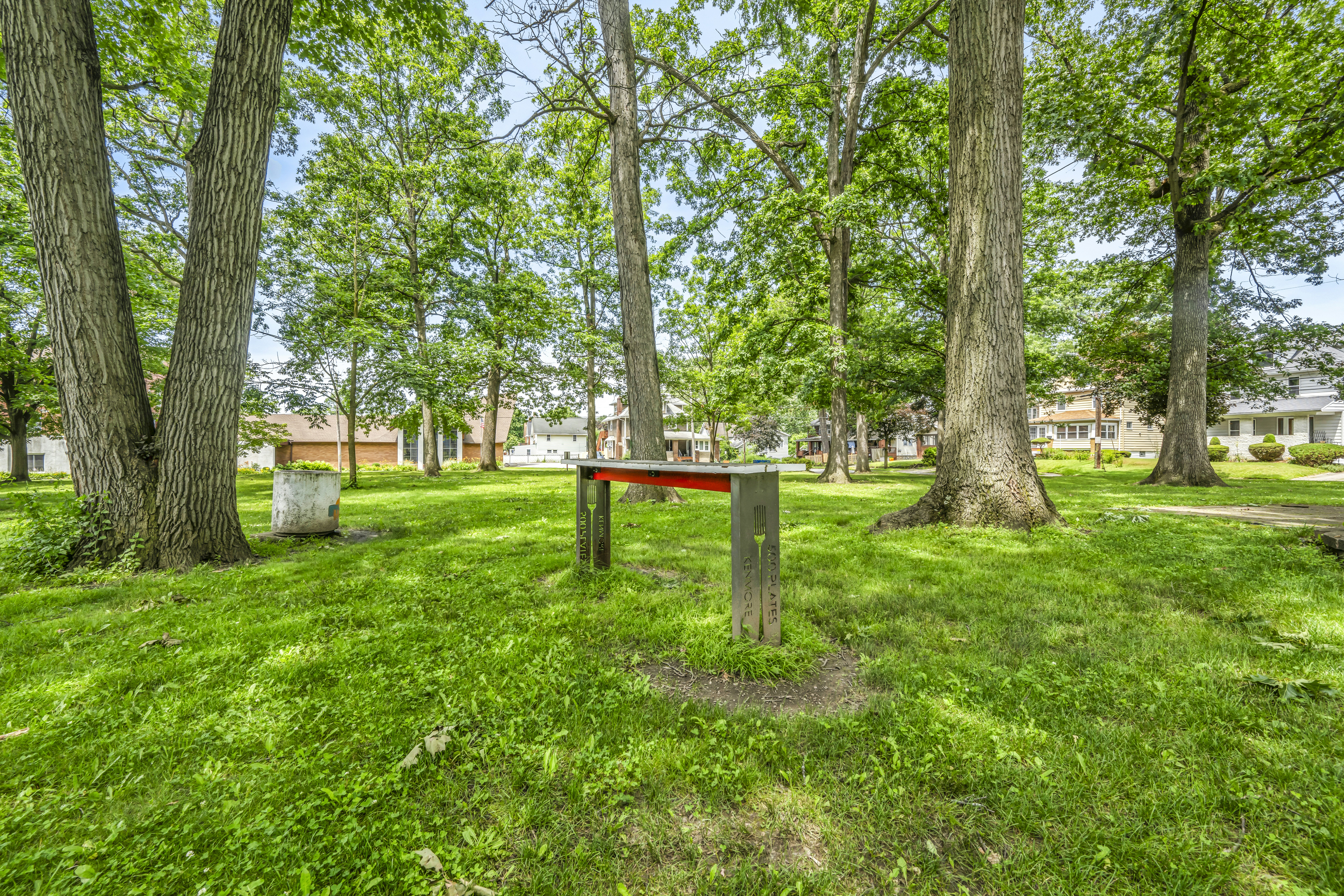 Green Canopy and Park Table: A Quiet Afternoon in the Suburban Lawn