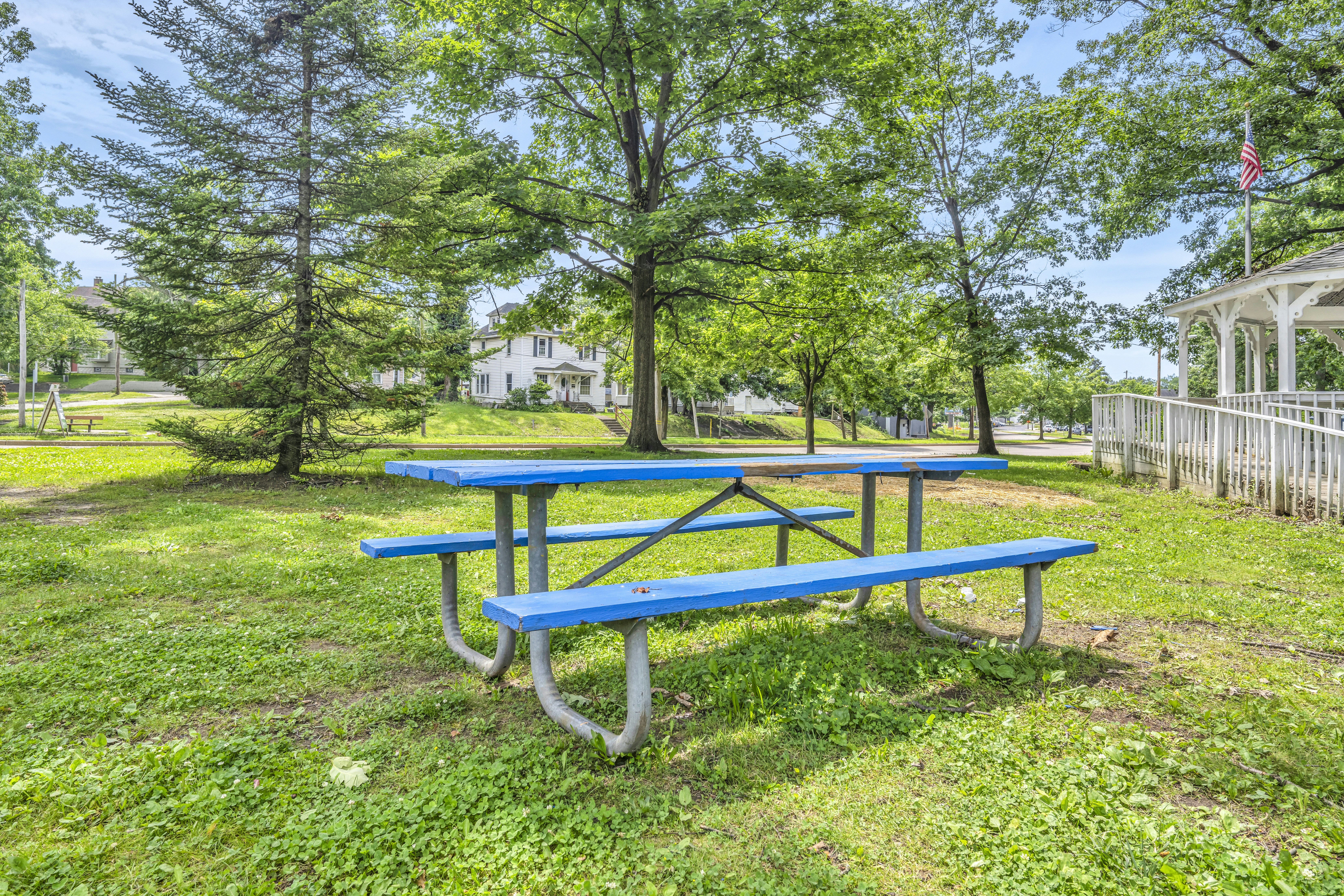 Blue Picnic Table Beneath a Quiet Canopy of Green
