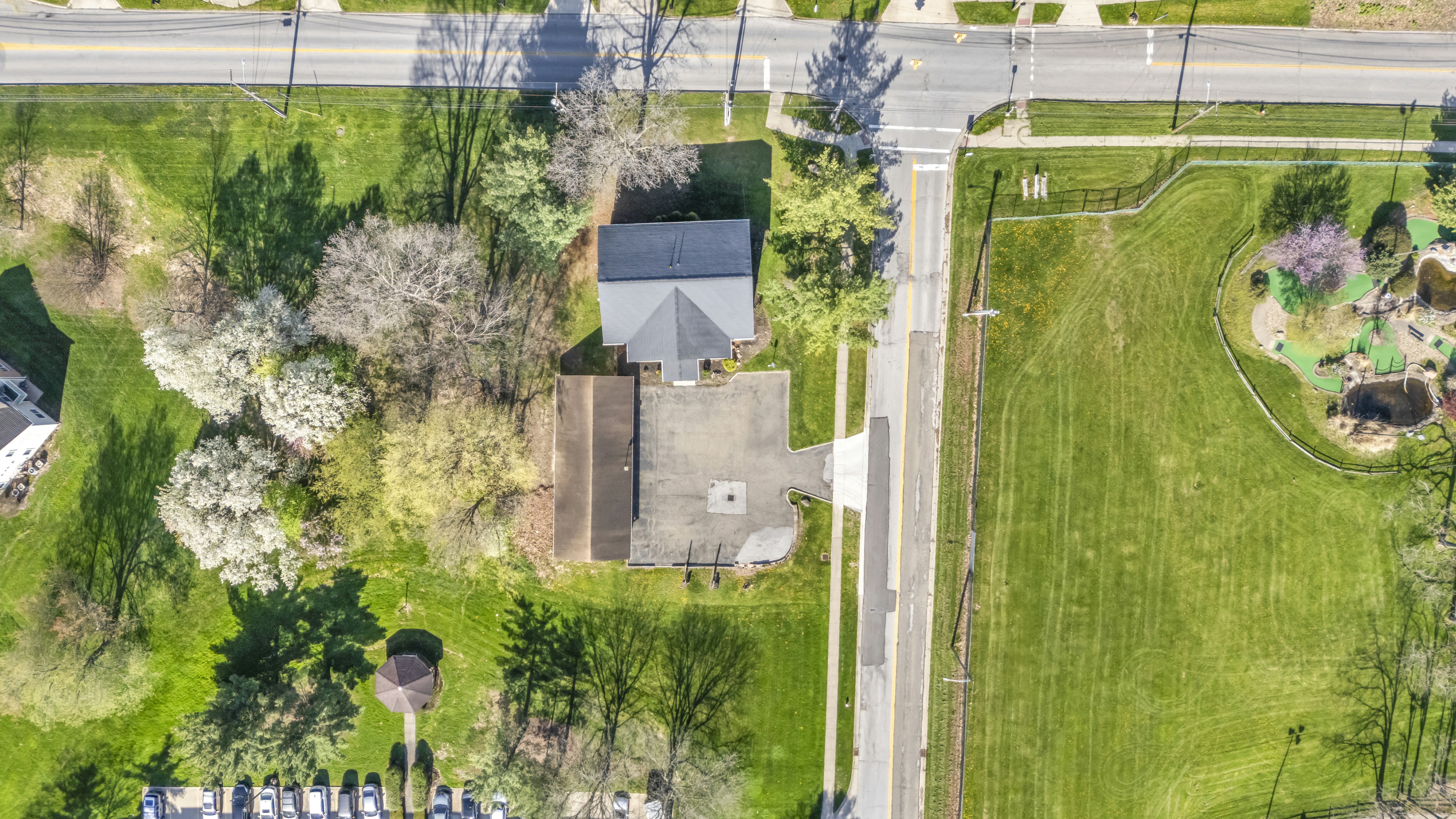 A Quiet Suburban Crossroad Framed by Greenery
