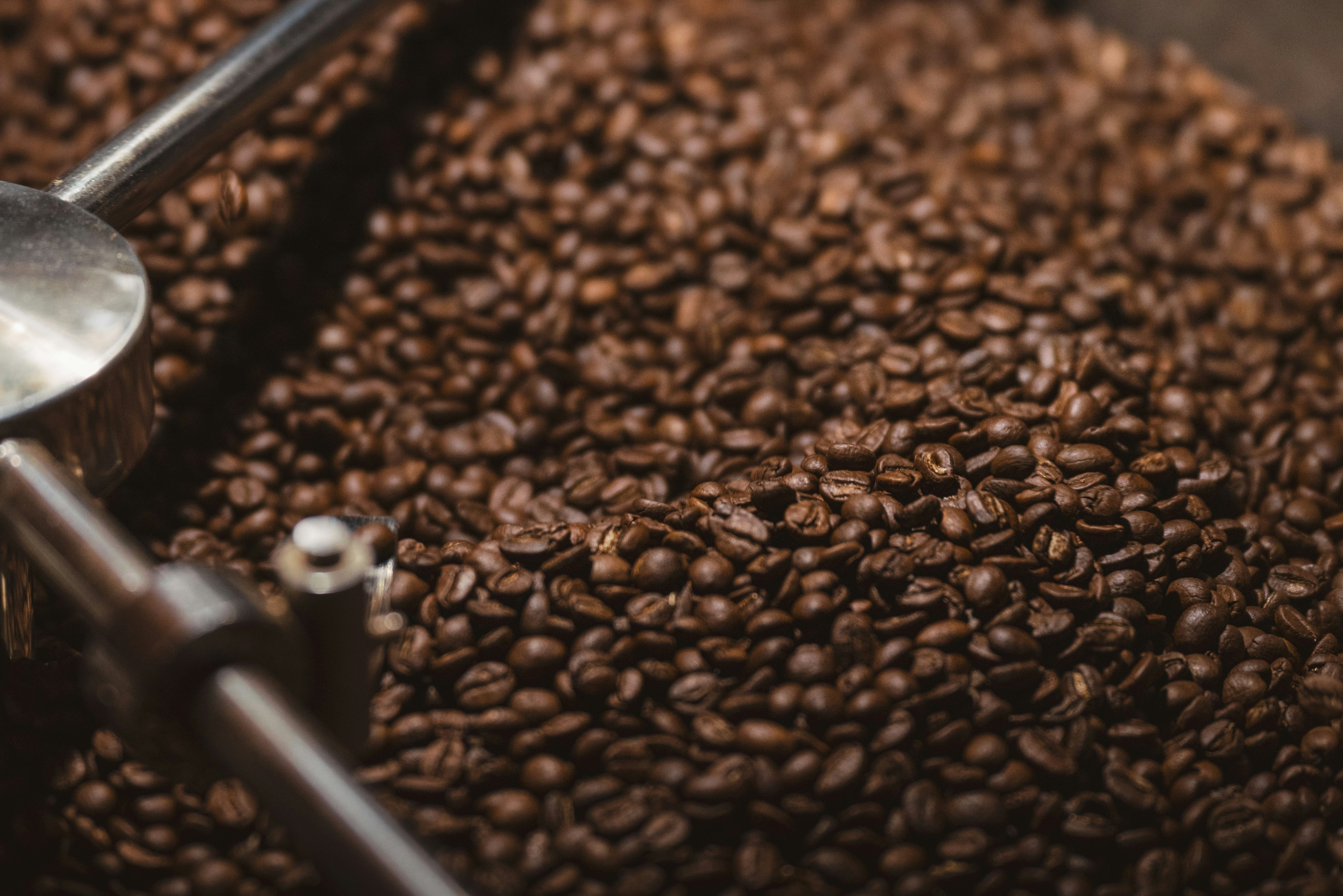 Midnight Roast: A Spiral of Rich Beans in Motion
