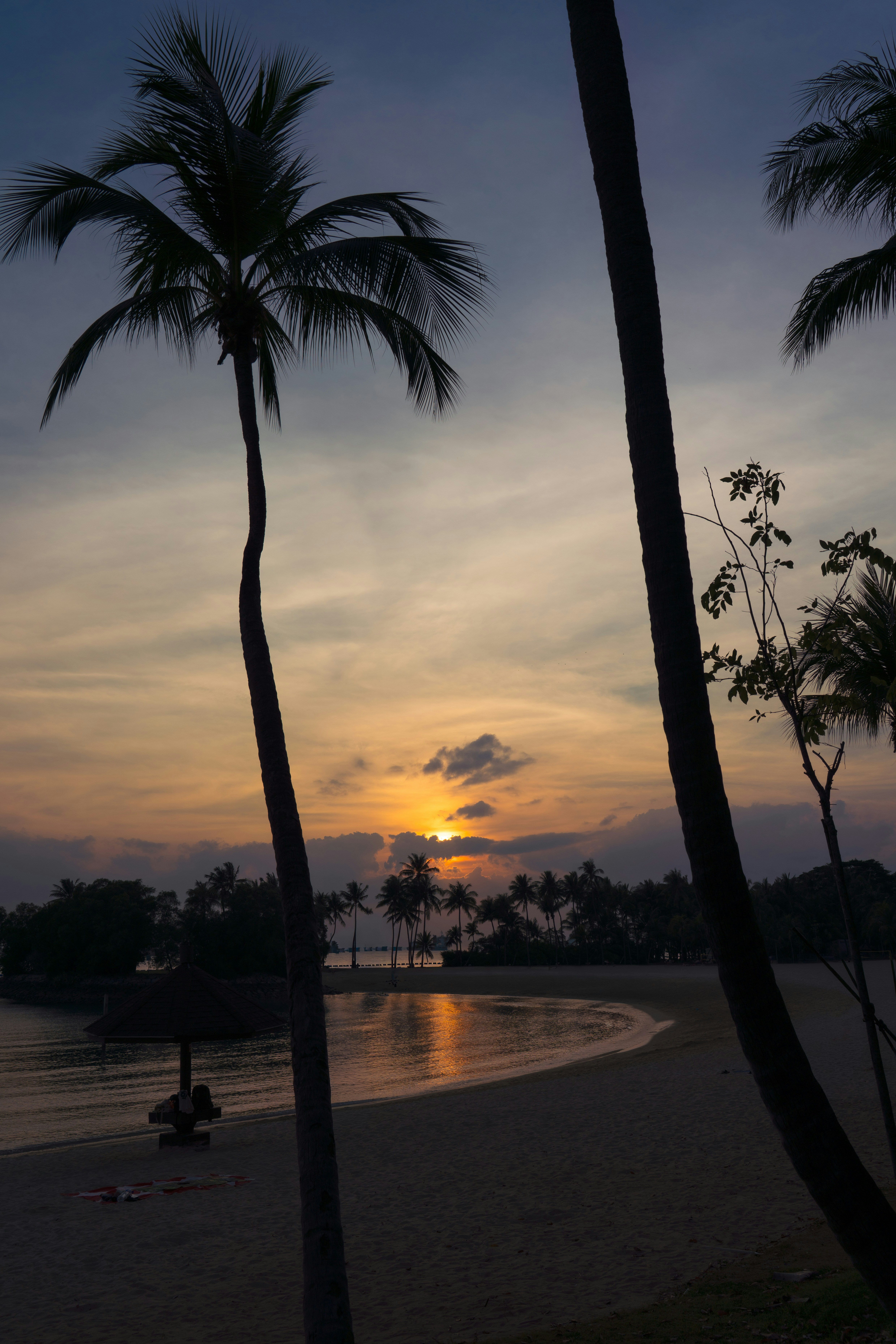 Palm Silhouette at Sunset Over a Quiet Island Beach