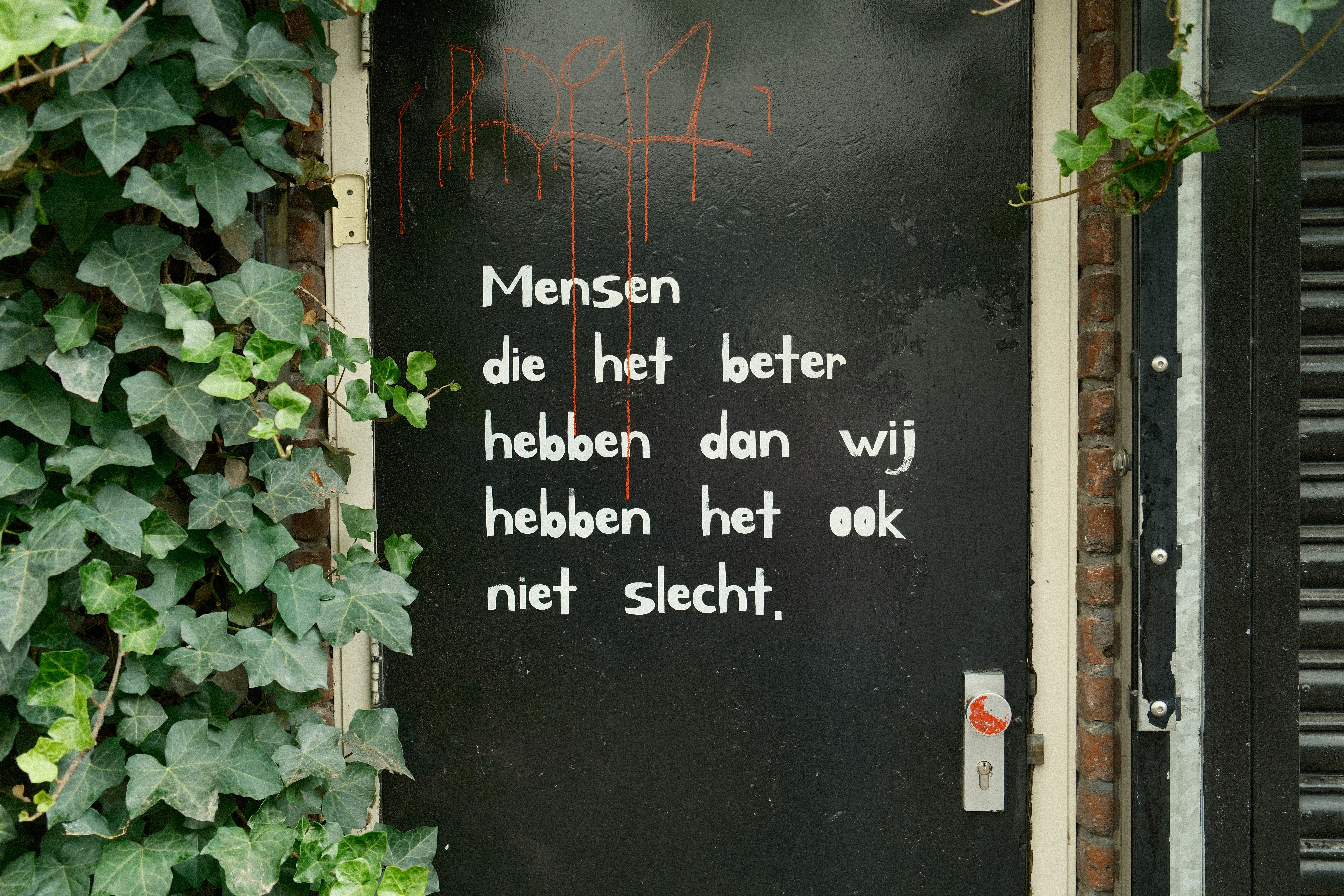 Greenery and graffiti on a weathered doorway