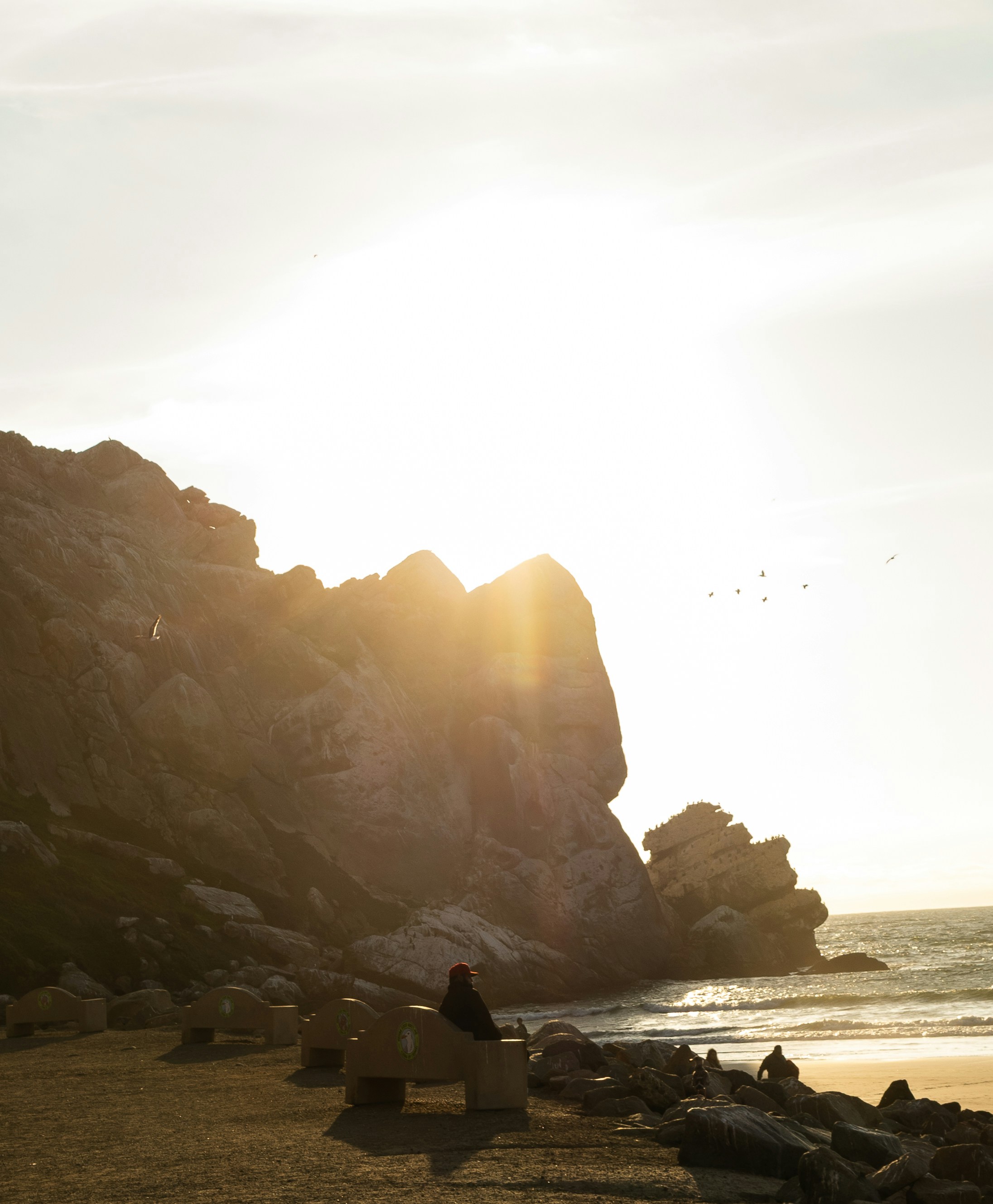 Sunlit Seaside Cliff: A Quiet Moment by the Rocks
