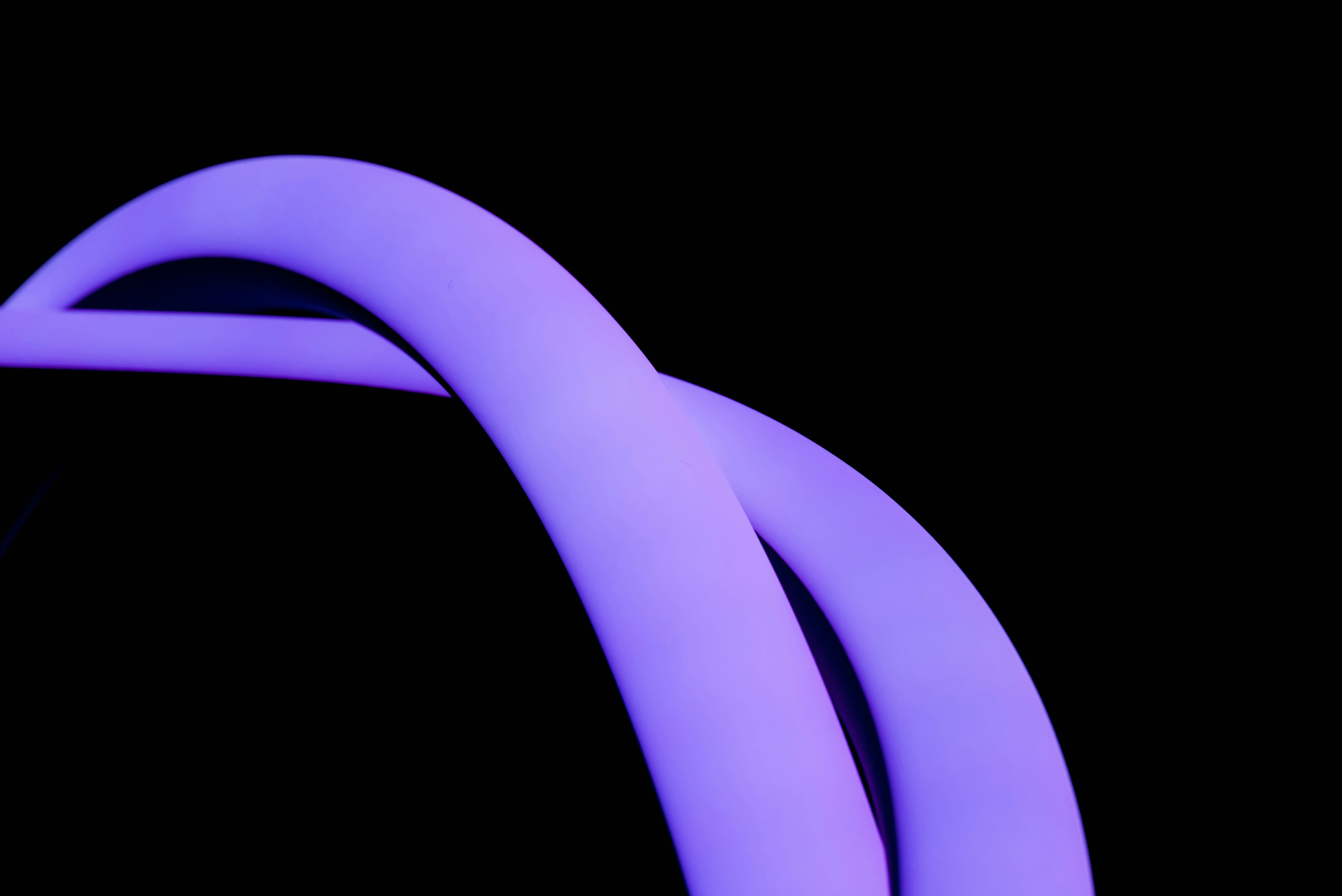 Neon Curves: A Quiet Dance of Light