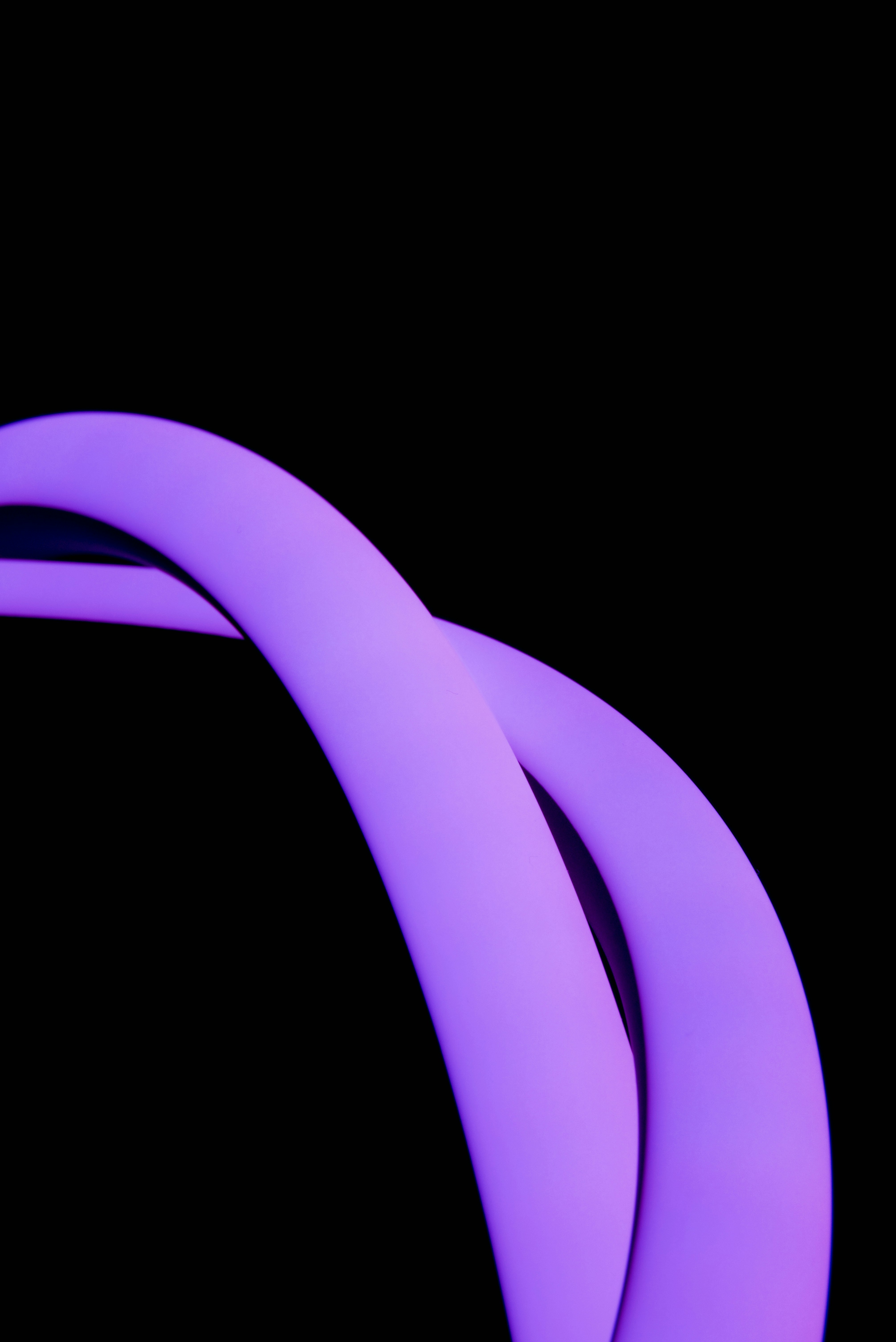 Neon Loops in Midnight: a Close-Up of Violet Tubes