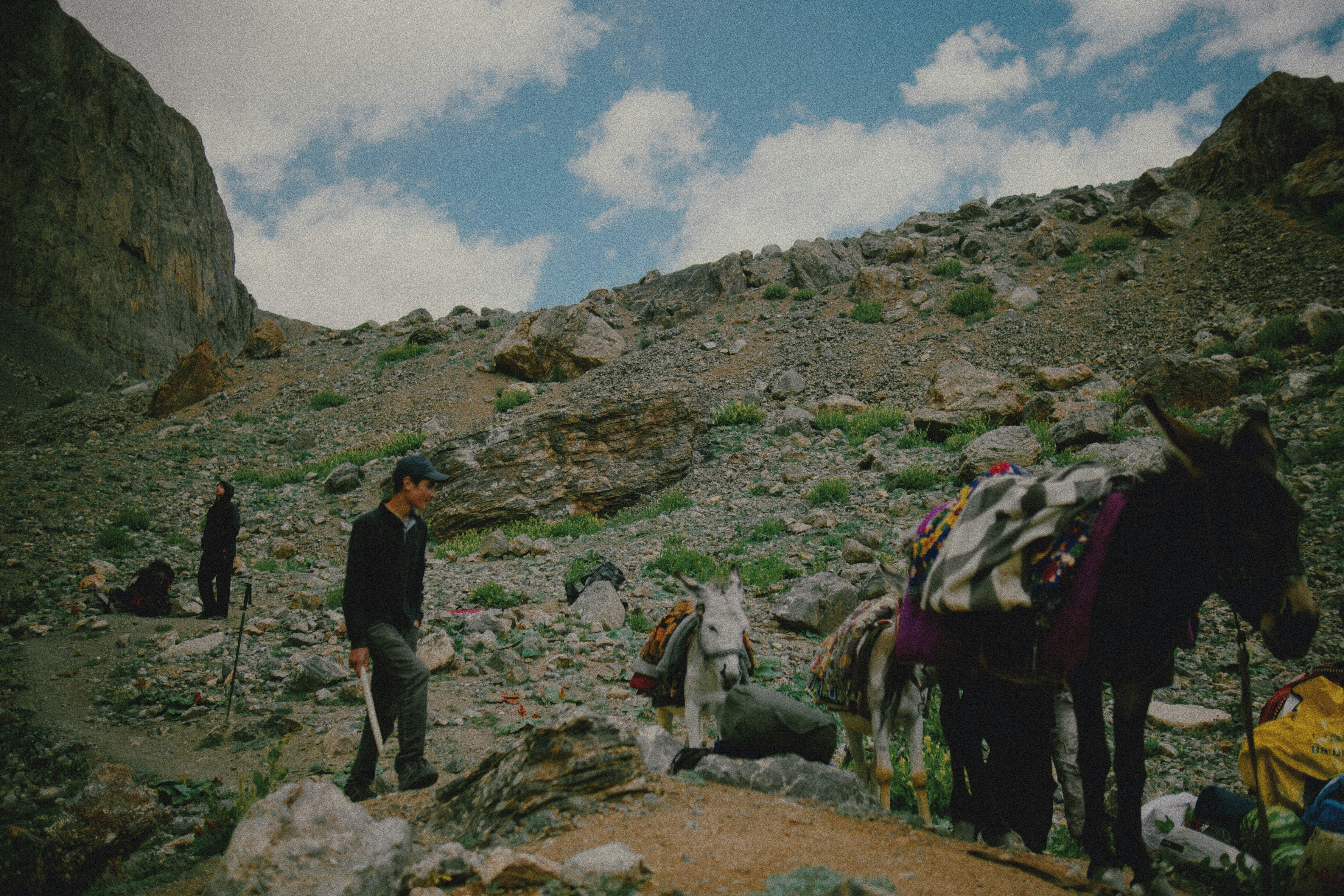 Mule Caravan at a Rugged Pass