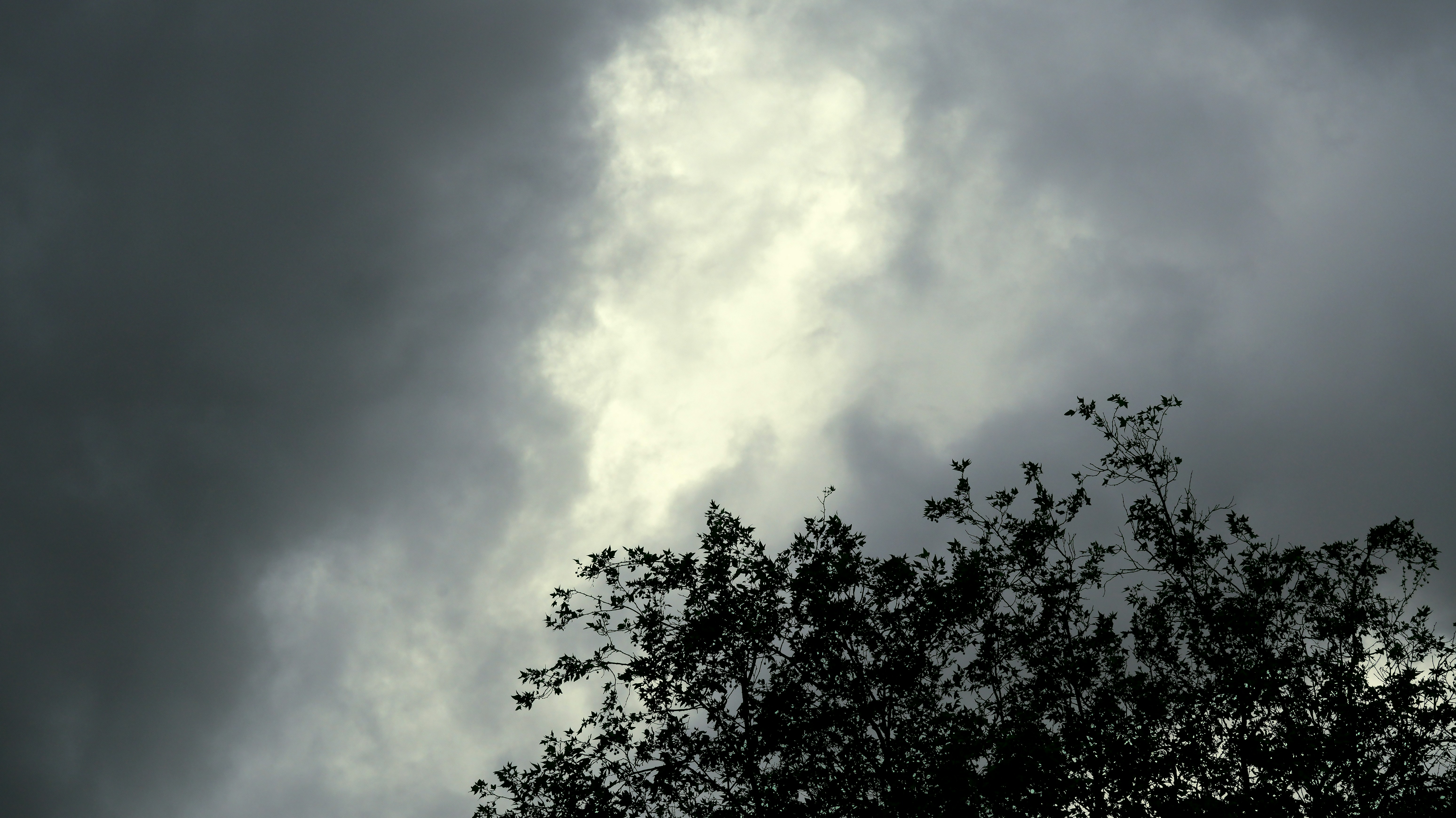 Contrasting Light Through Storm-Borne Sky